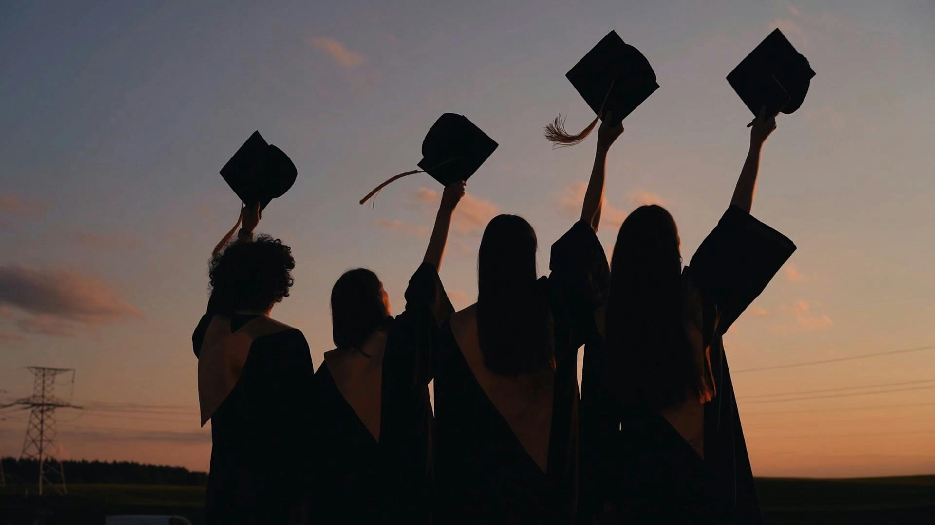 Vídeos de stock gratuitos sobre académico, adulto, al aire libre ...