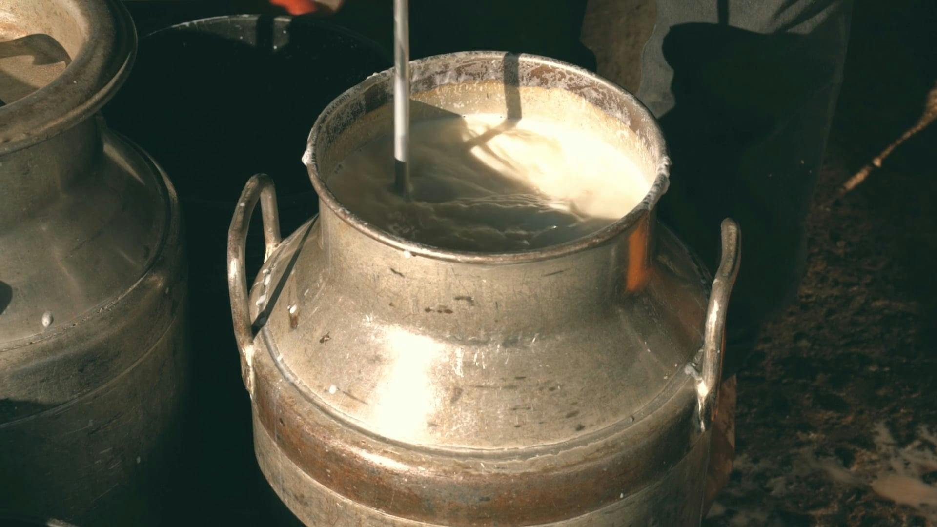 Close-up Footage of a Milk in a Steel Container Free Stock Video ...