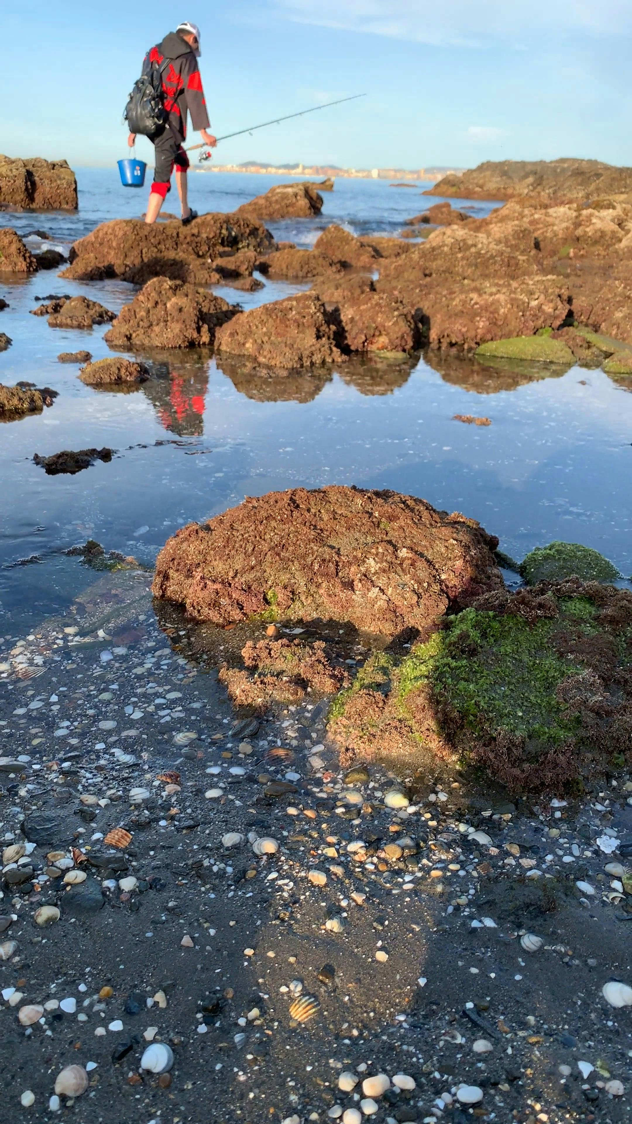 River Shells Videos, Download The BEST Free 4k Stock Video Footage ...