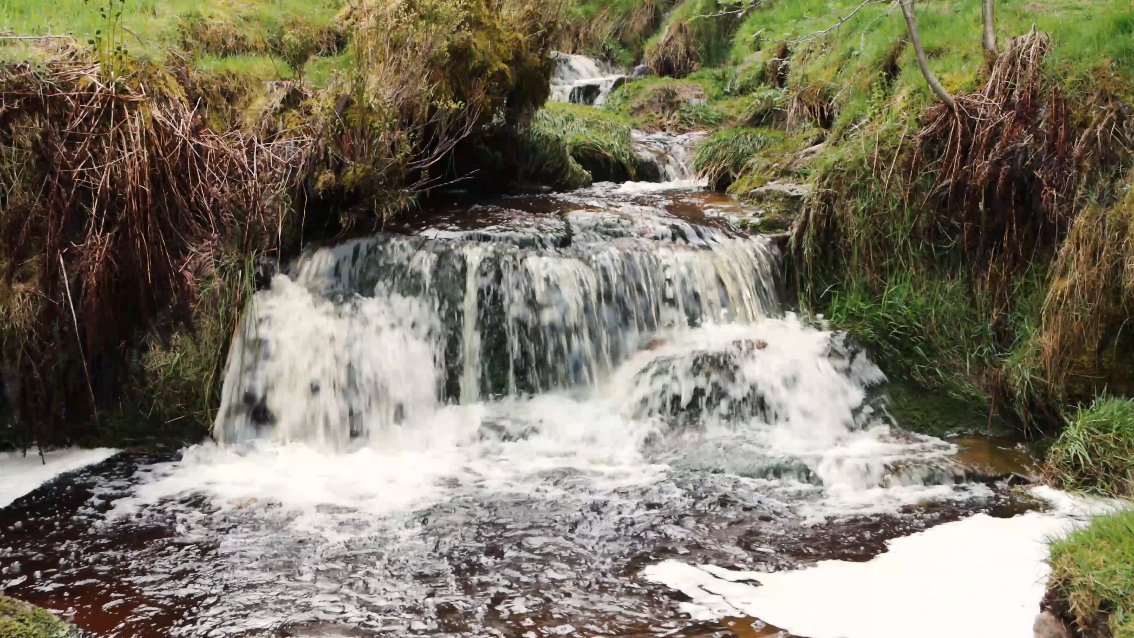 A Flowing Stream Free Stock Video Footage, Royalty-Free 4K & HD Video Clip