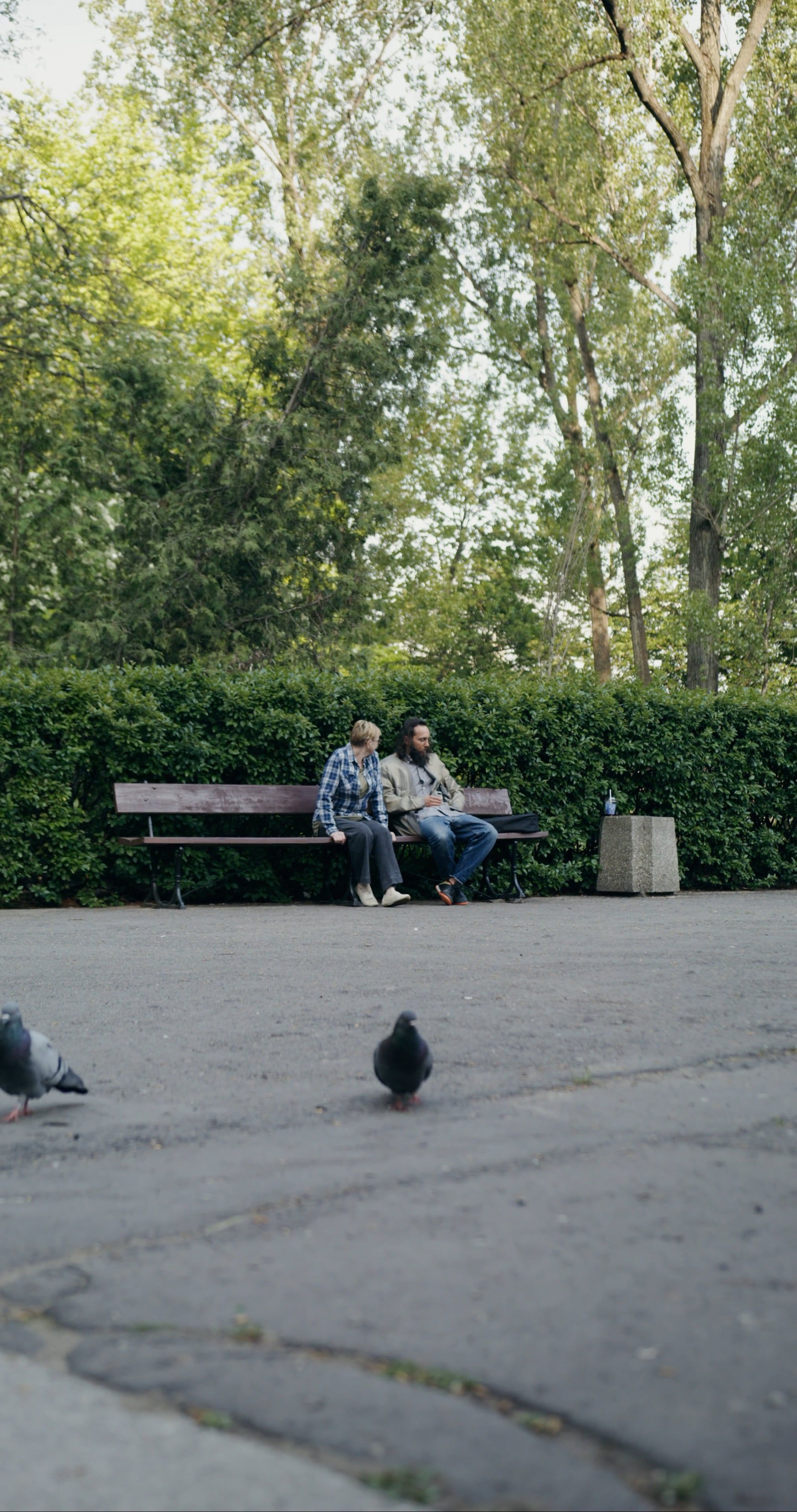 Homeless Birds Videos, Download The BEST Free 4k Stock Video Footage ...