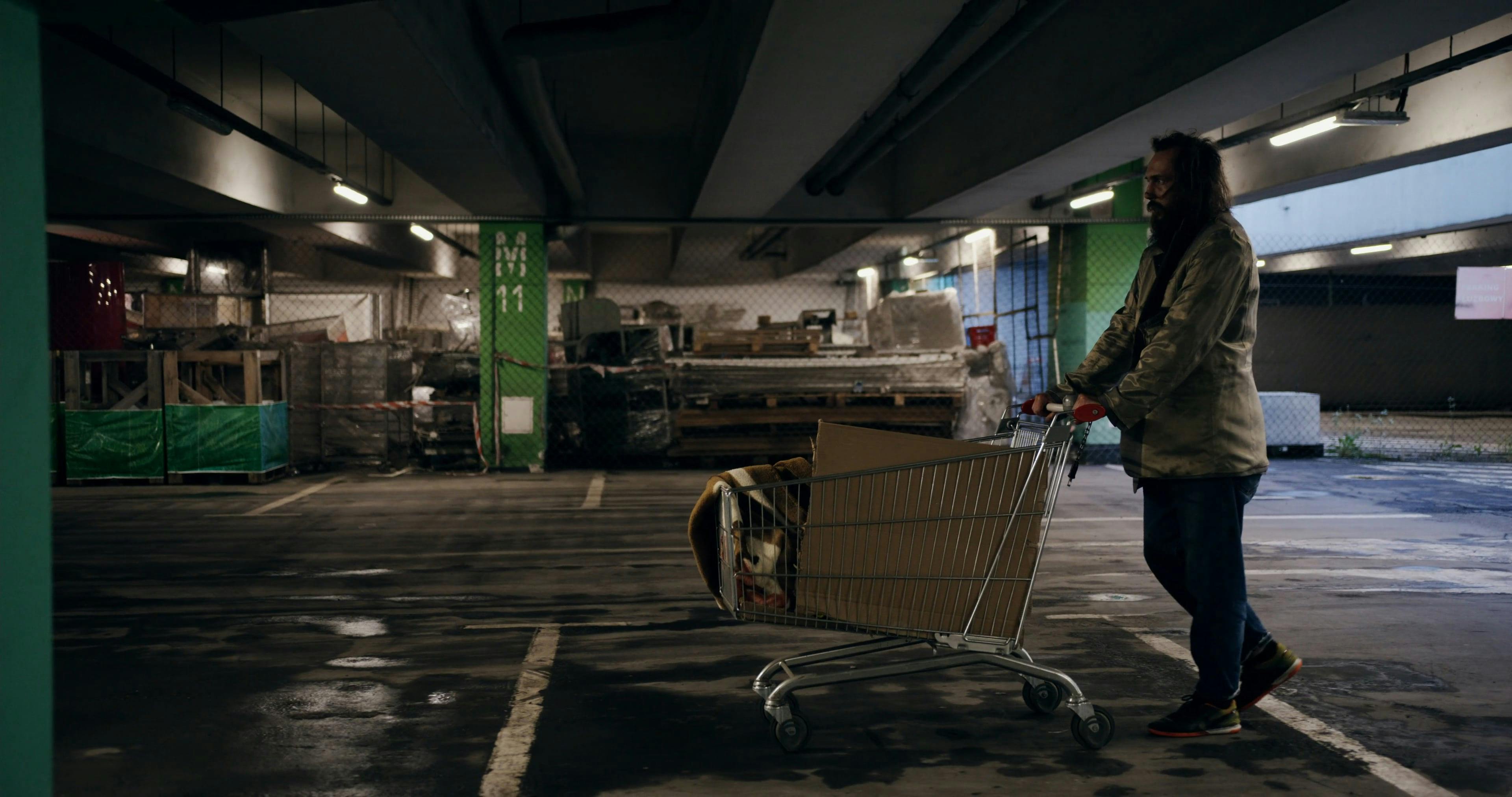 A Homeless Man Pushing a Shopping Cart Free Stock Video Footage ...