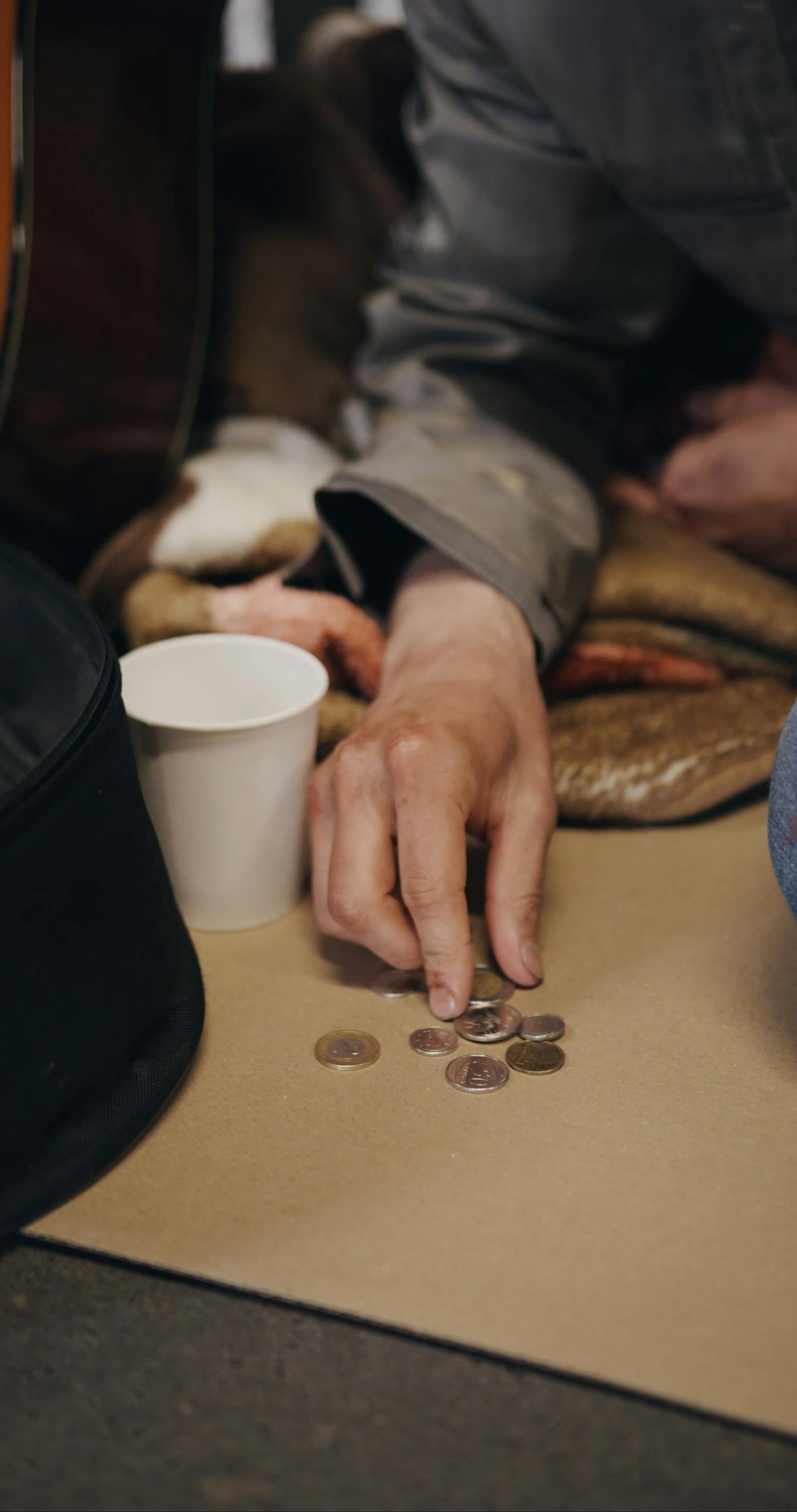 Begging Videos, Download The BEST Free 4k Stock Video Footage & Begging ...