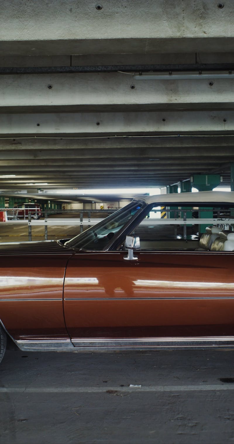 Rare Videos, Download The BEST Free 4k Stock Video Footage & Rare HD ...