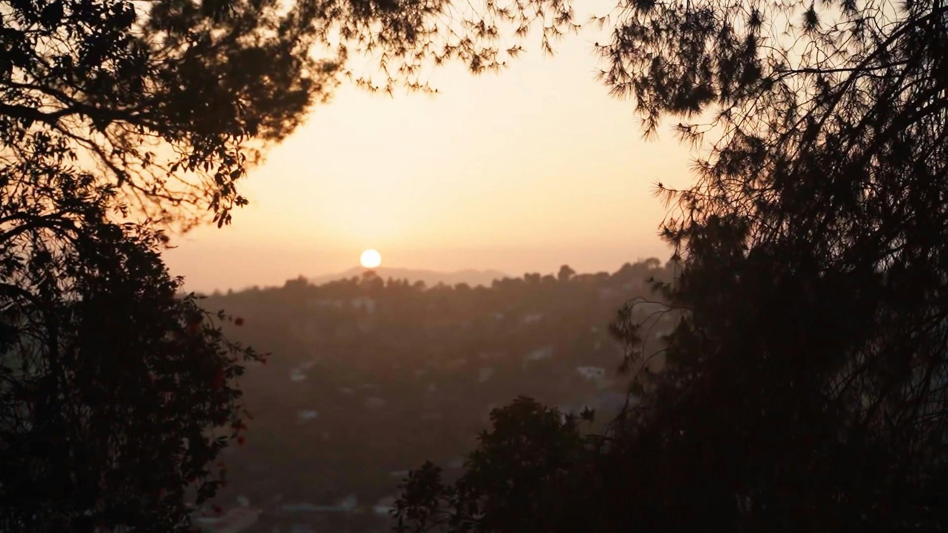 A View of a Beautiful Sunset Under a Tree · Free Stock Video