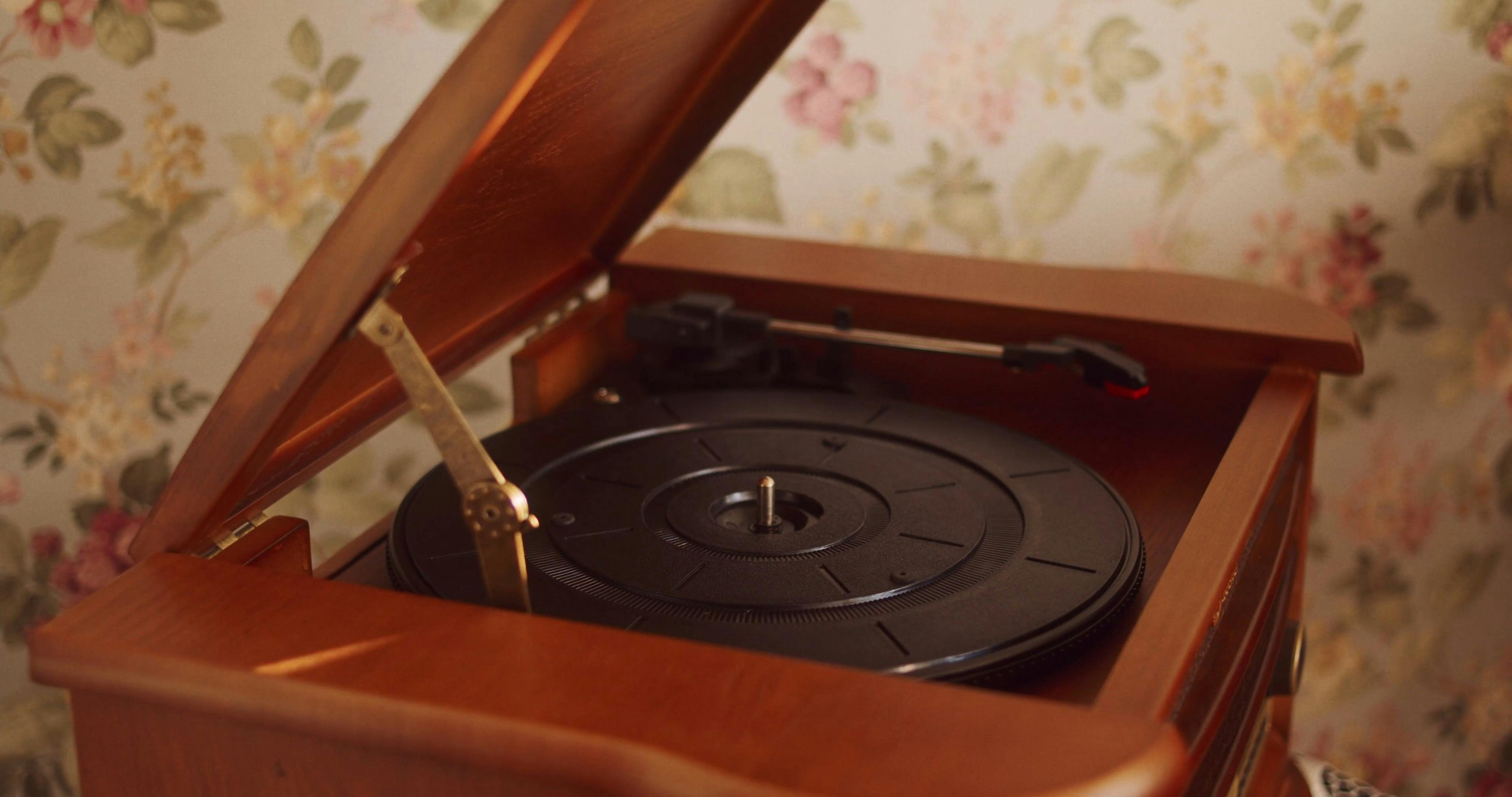 Human Reproduction Videos, Download The BEST Free 4k Stock Video ...