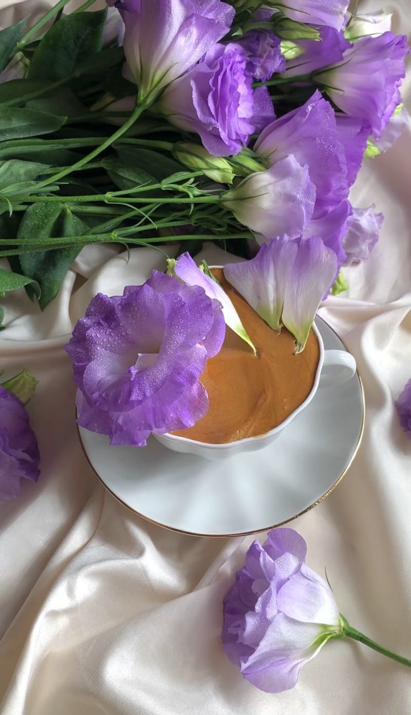 Aesthetic Videos Videos, Download The BEST Free 4k Stock Video Footage ...