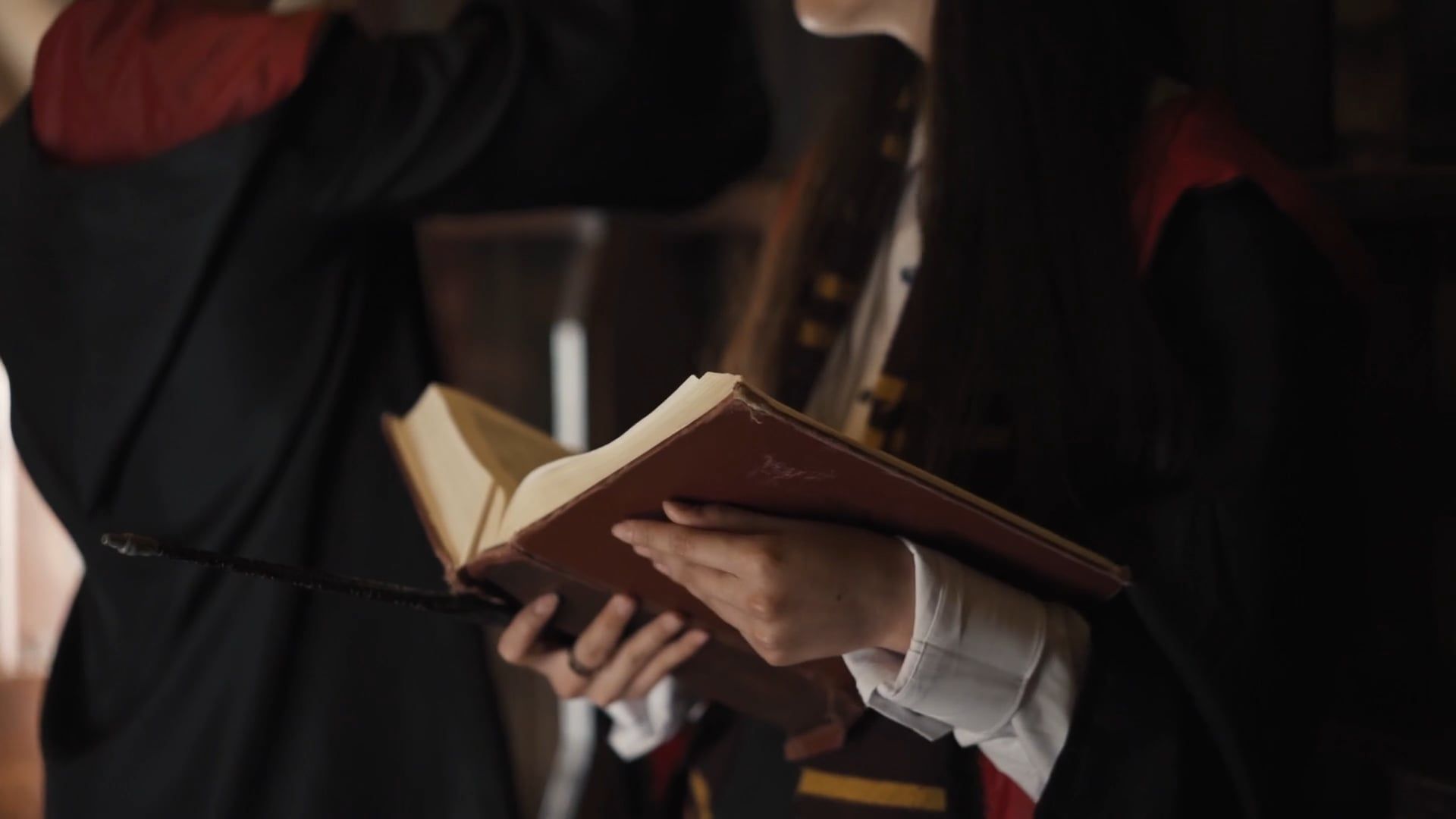 Wizards Reading Book of Spell in the Library Free Stock Video Footage ...