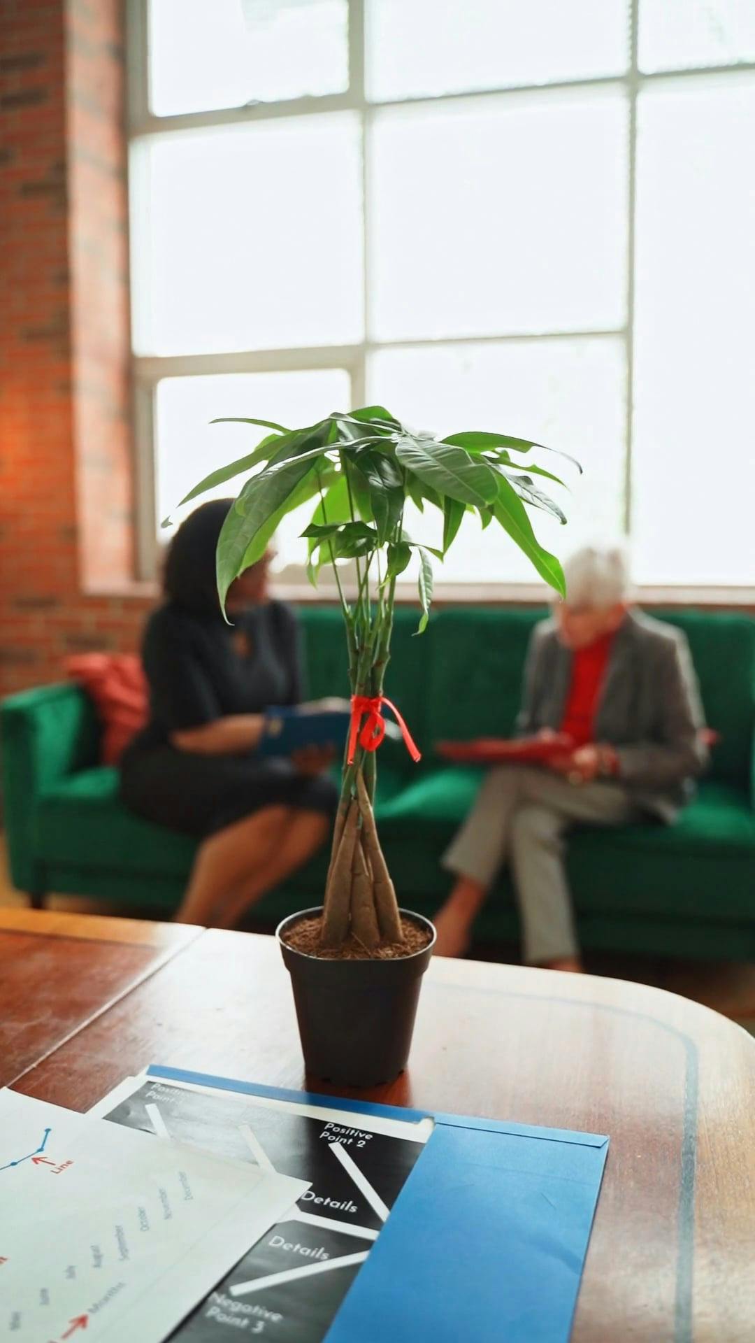 People Working Together · Free Stock Video