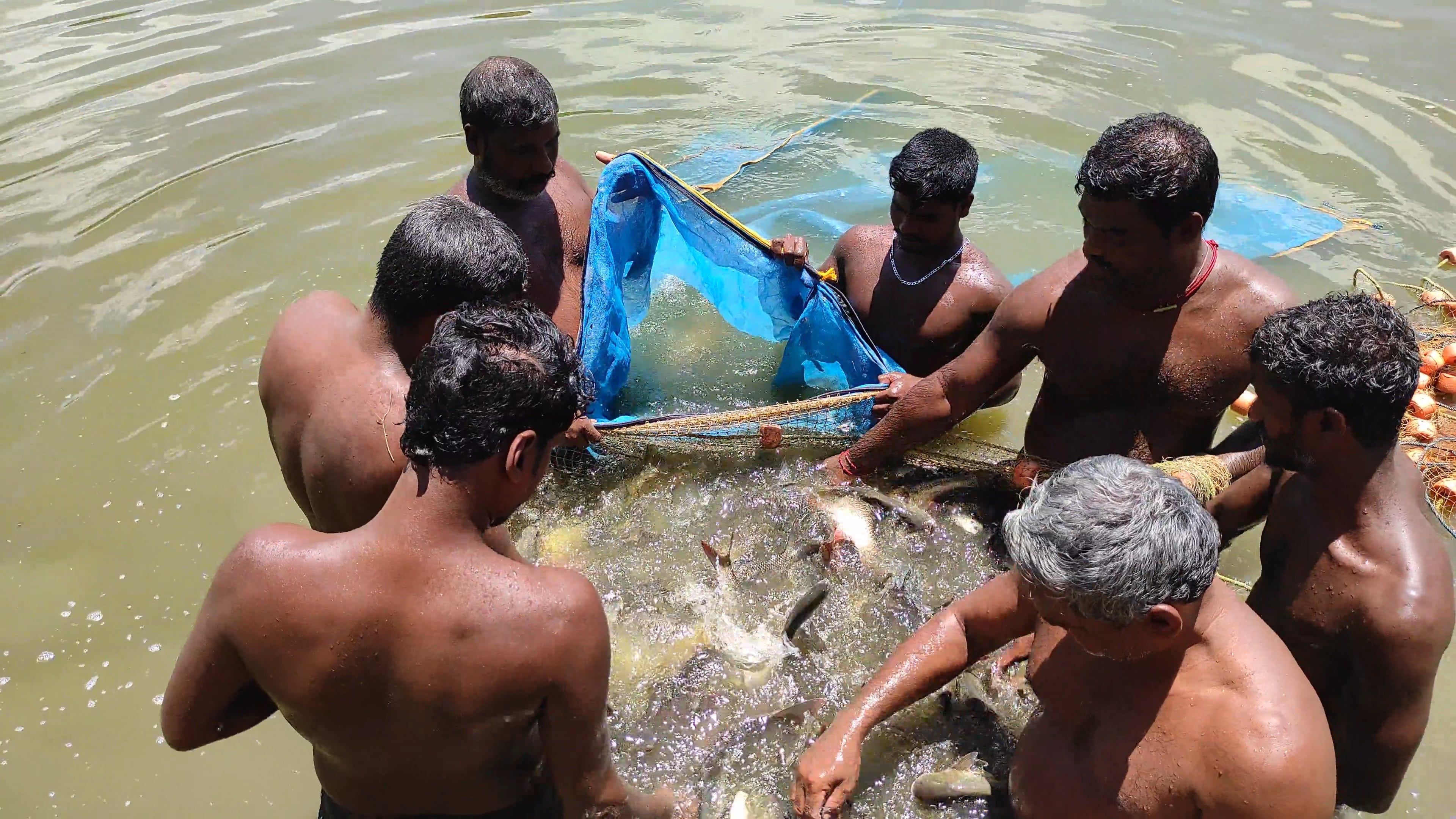 Traditional Fishing in a Rural Bangladeshi Village Free Stock Video ...
