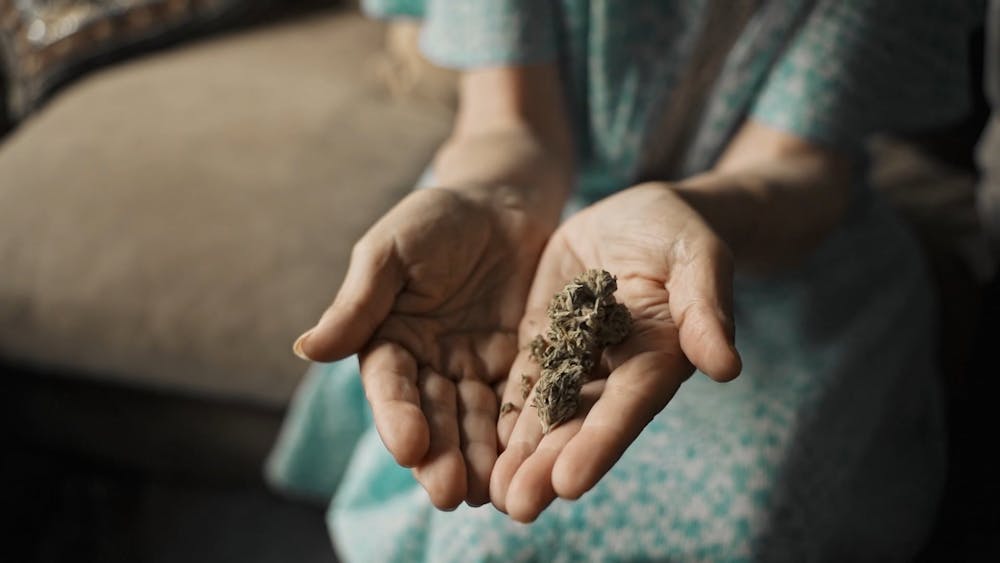 Woman Holding Cannabis · Free Stock Video