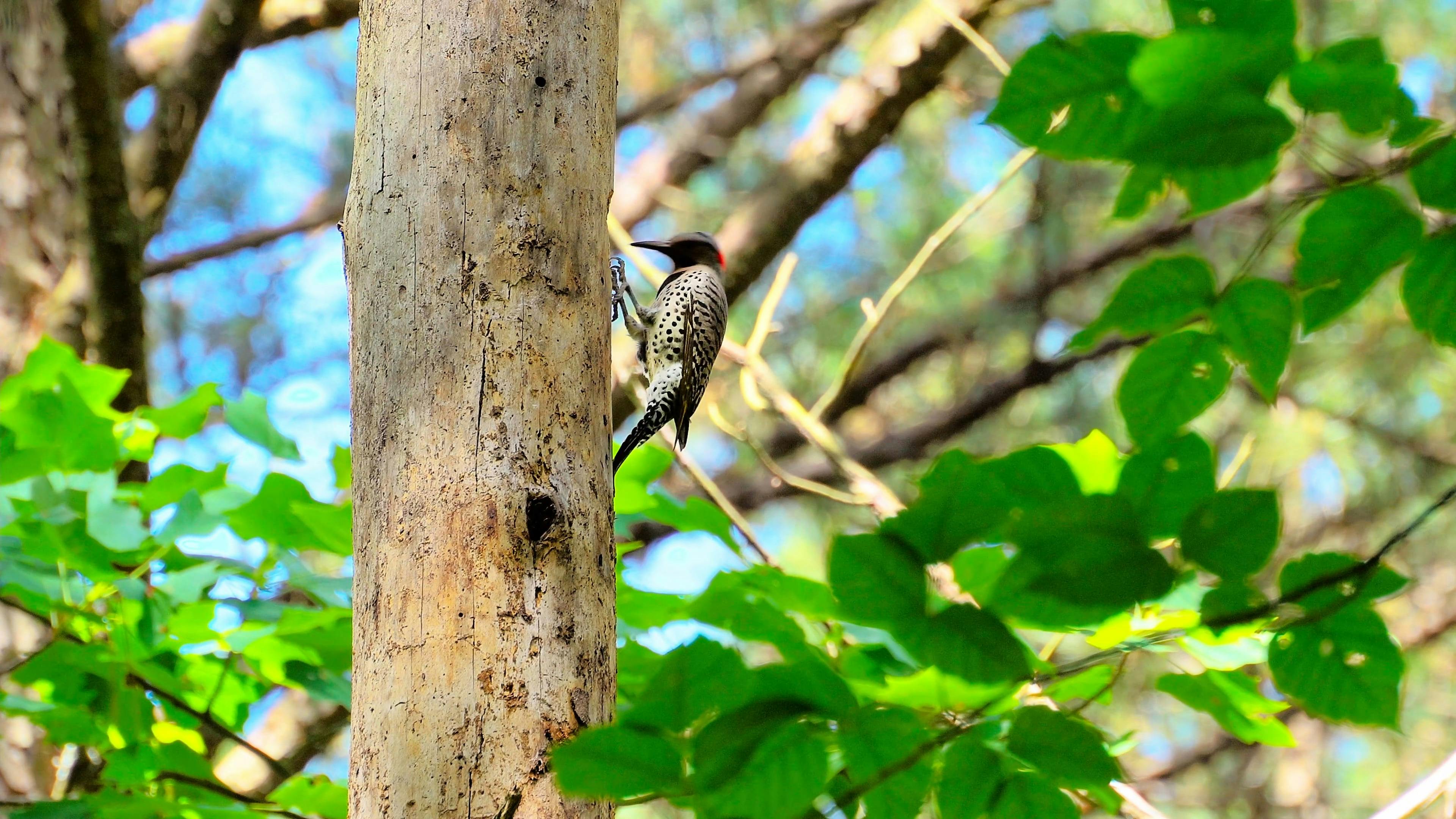 Common Areas Videos, Download The BEST Free 4k Stock Video Footage ...