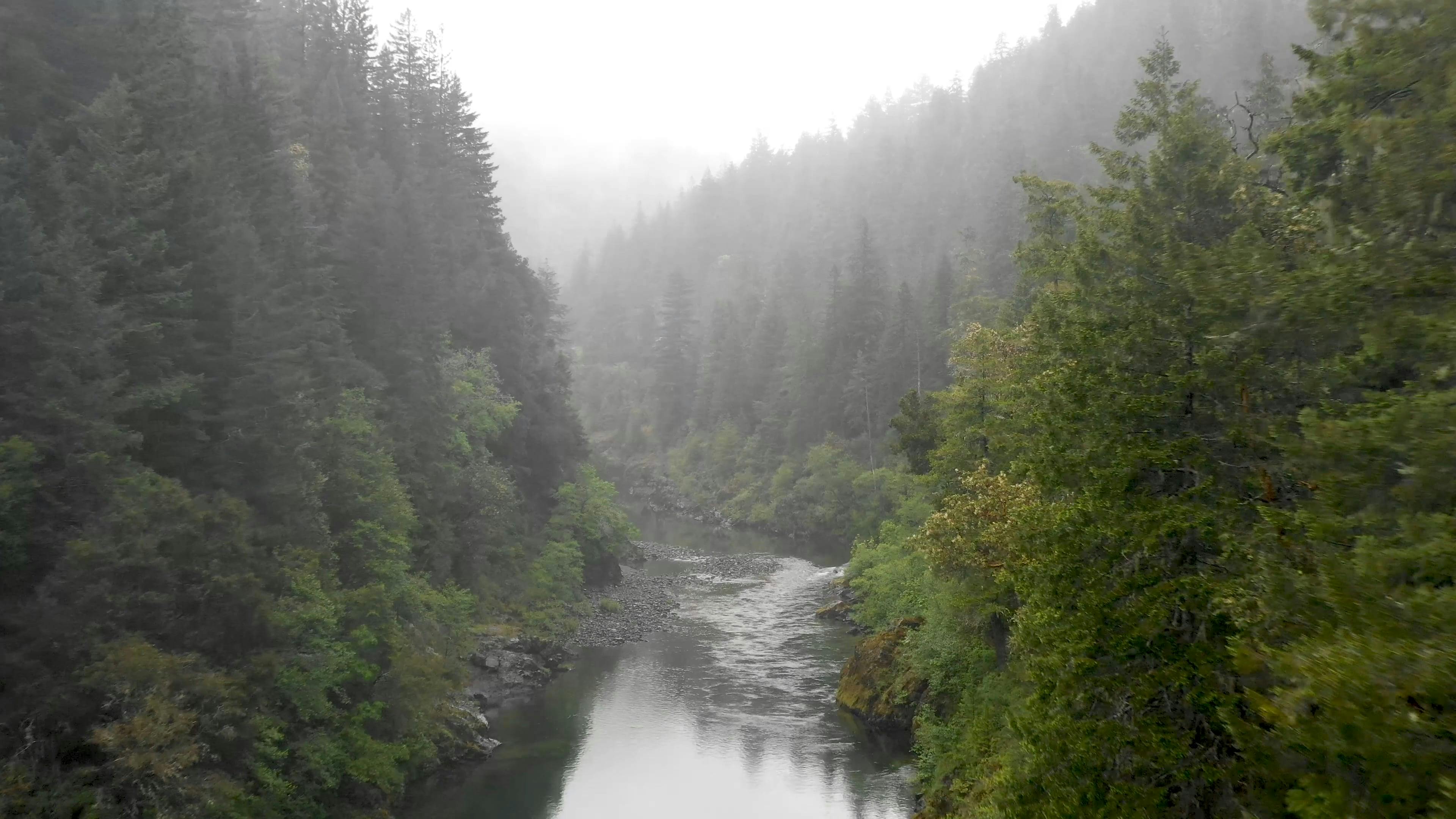 Drone Footage of a River · Free Stock Video