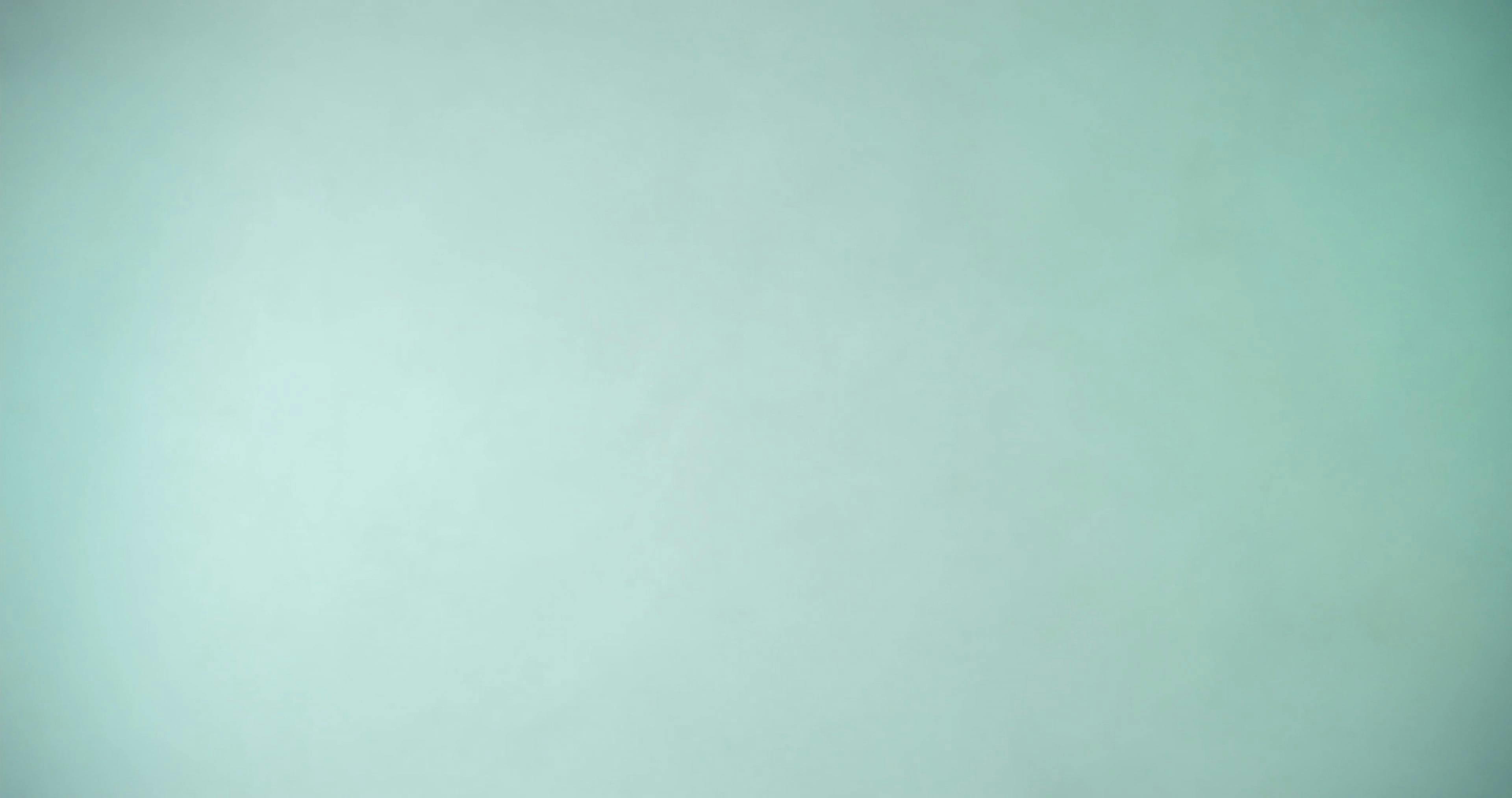 Solid Green Background Videos, Download The BEST Free 4k Stock Video ...