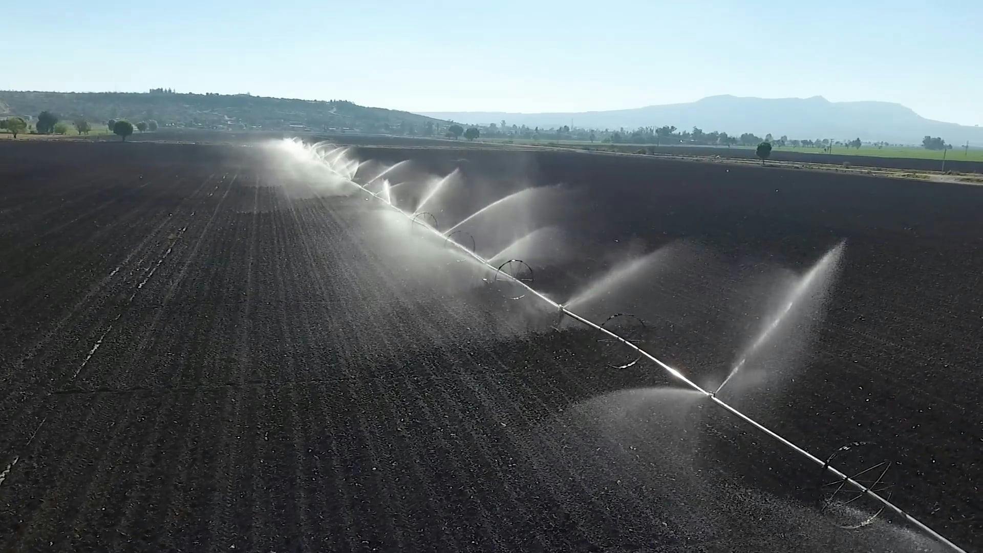 Watering a Farm Free Stock Video Footage, Royalty-Free 4K & HD Video Clip