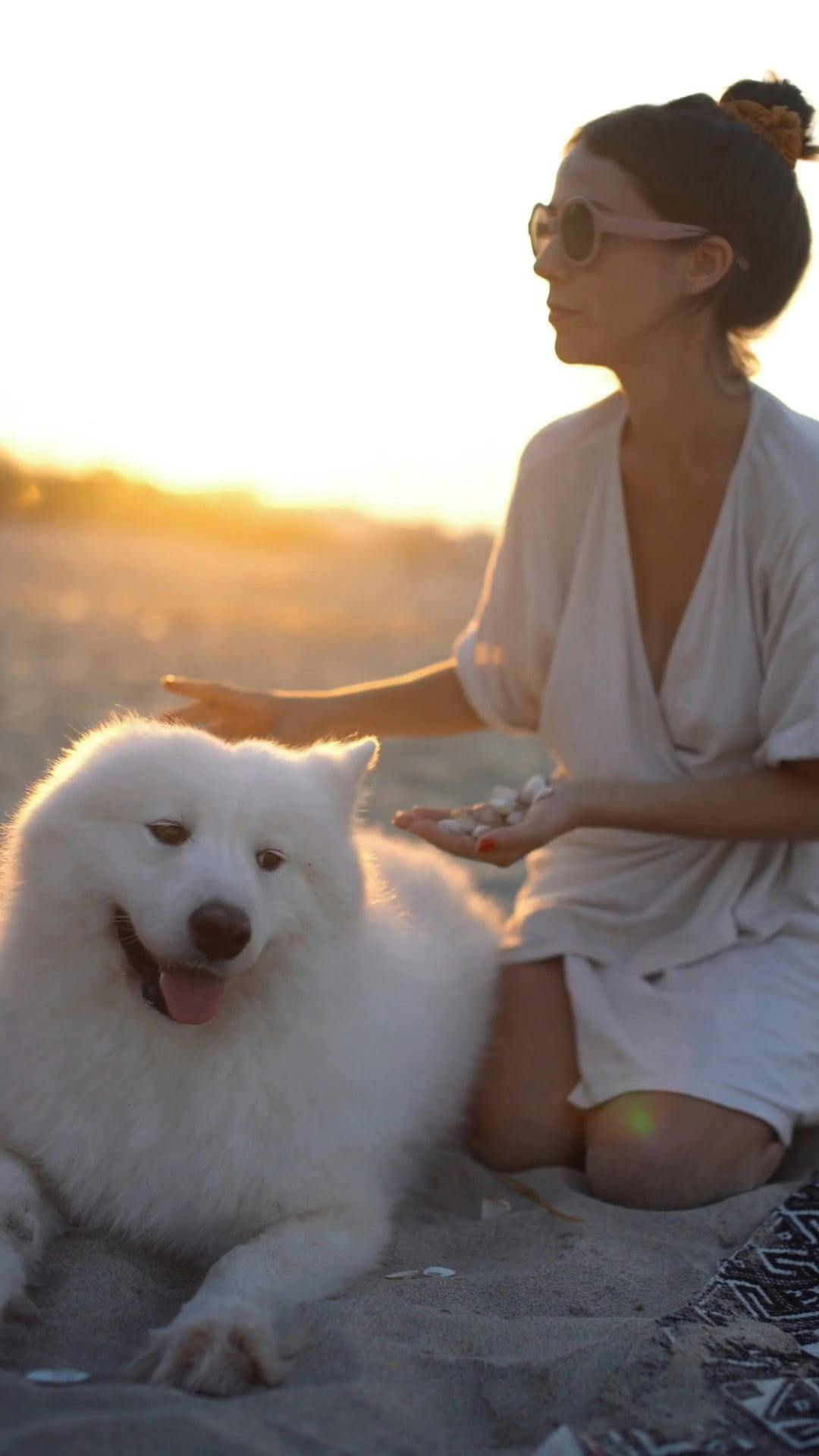 Fluffy Stones Videos, Download The BEST Free 4k Stock Video Footage ...