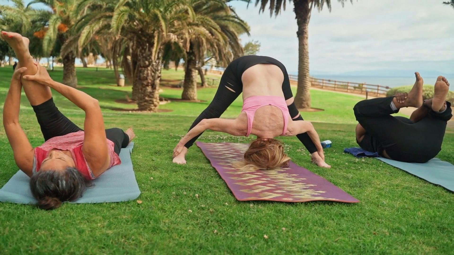 Stretching Poses Videos, Download The BEST Free 4k Stock Video Footage ...