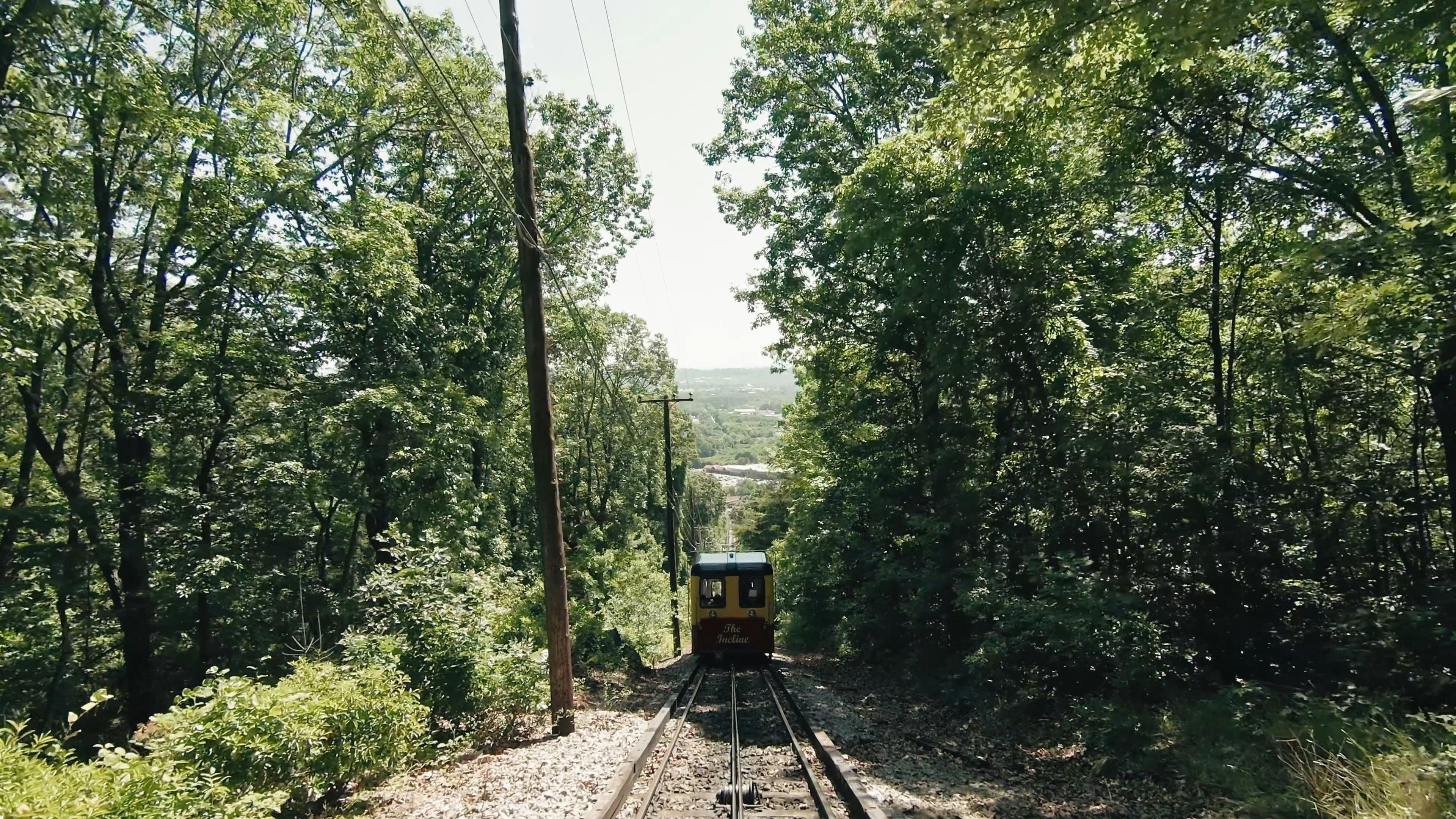 A Moving Train in a Forest · Free Stock Video