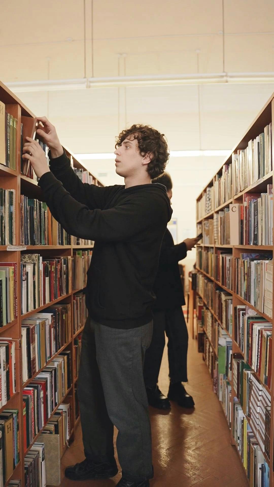 A Woman Finding a Book Inside the Library Free Stock Video Footage ...