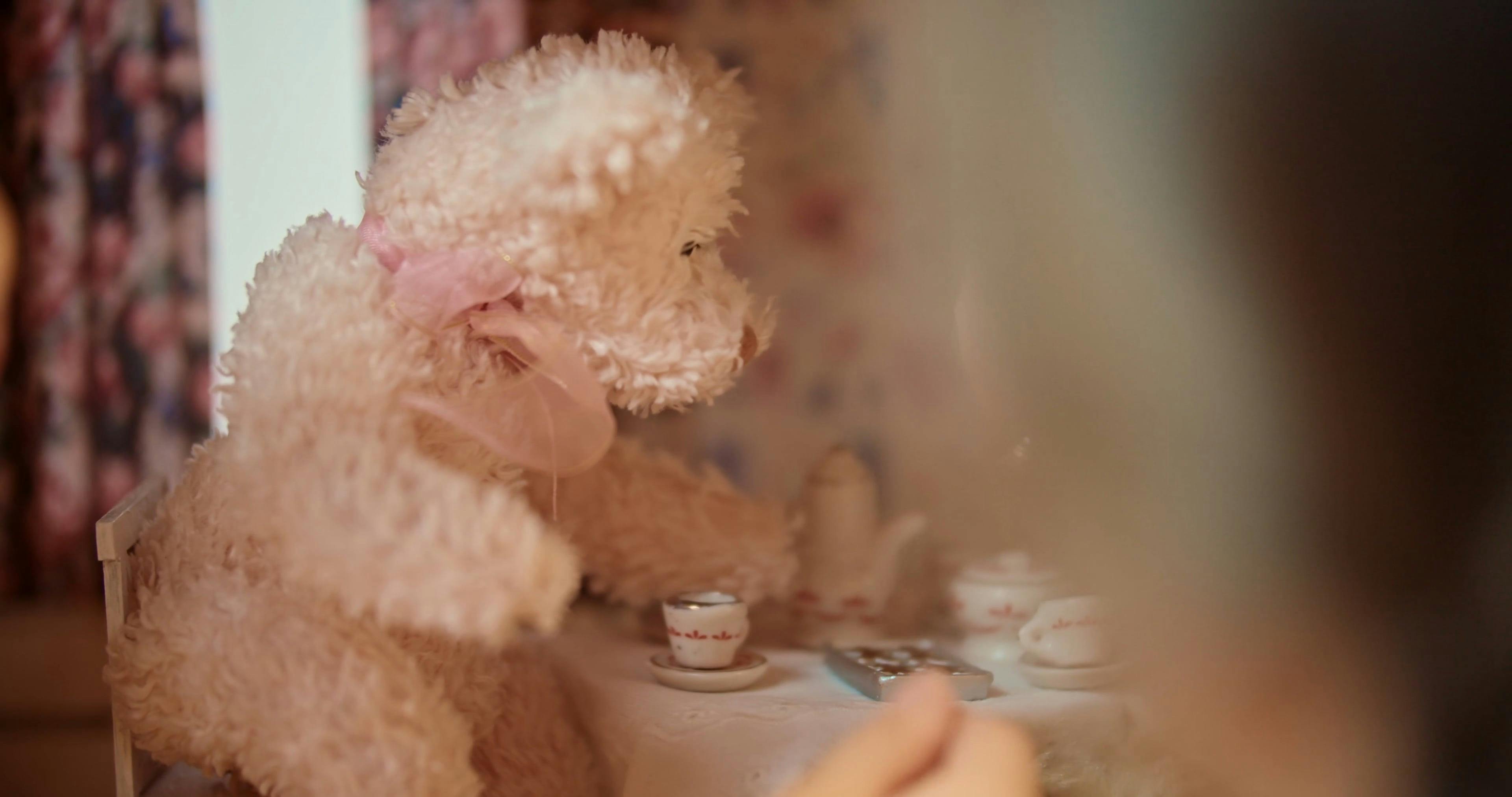 Interactive Love Wallpapers Videos, Download The BEST Free 4k Stock ...