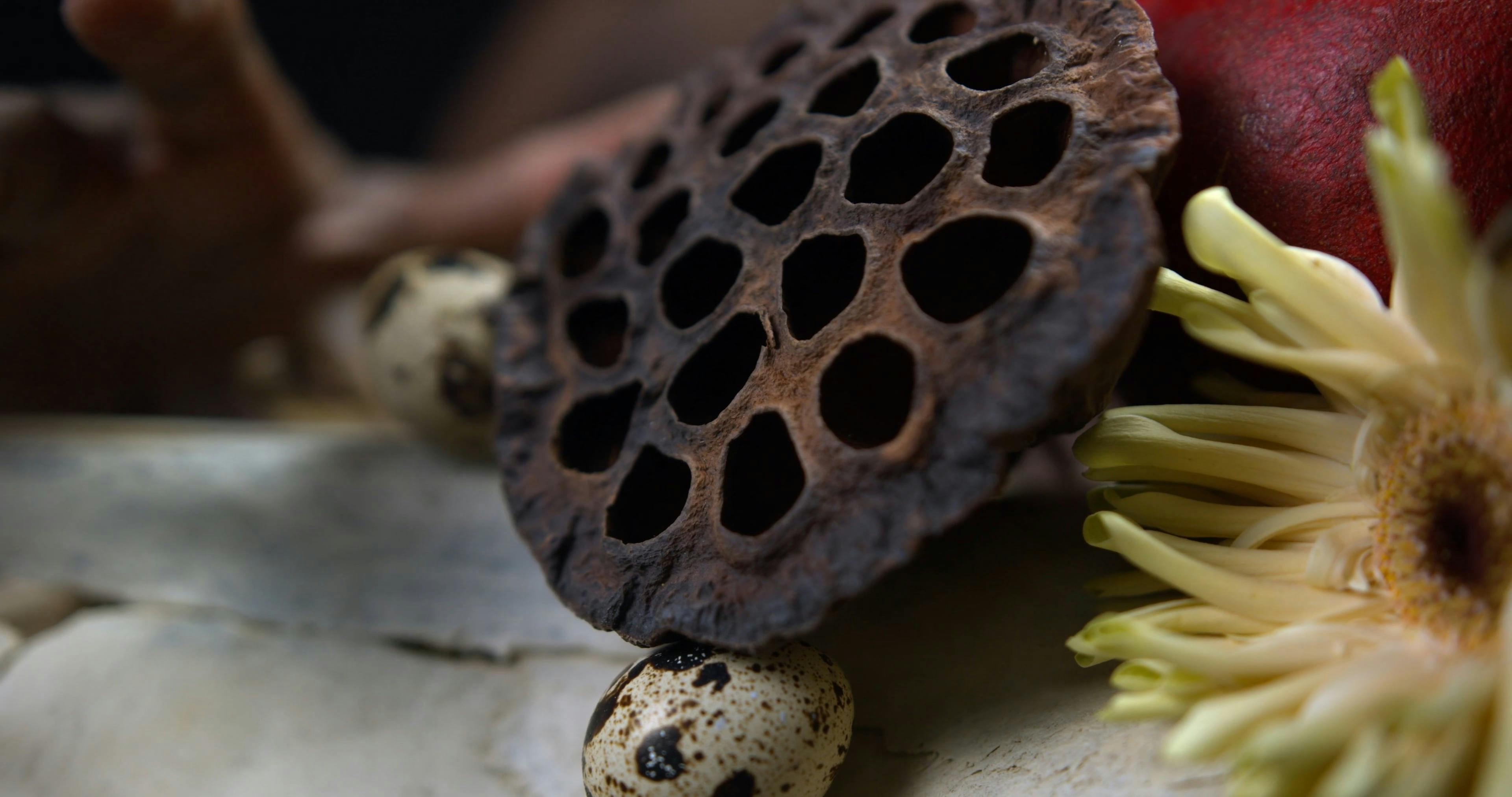 Close up of Male Hands Hovering over Ritual Objects Free Stock Video ...