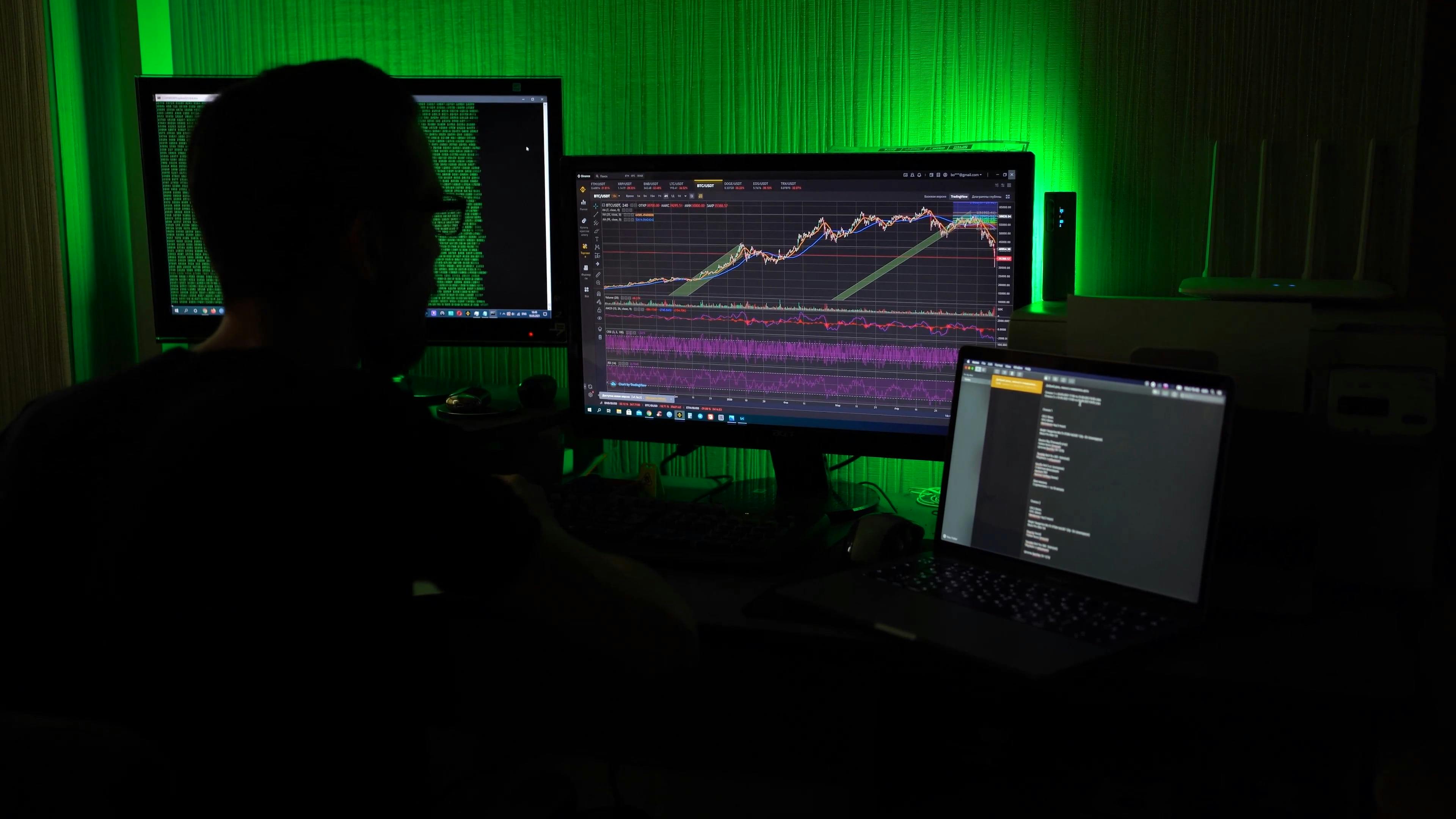 Marketing Python Videos, Download The BEST Free 4k Stock Video Footage ...