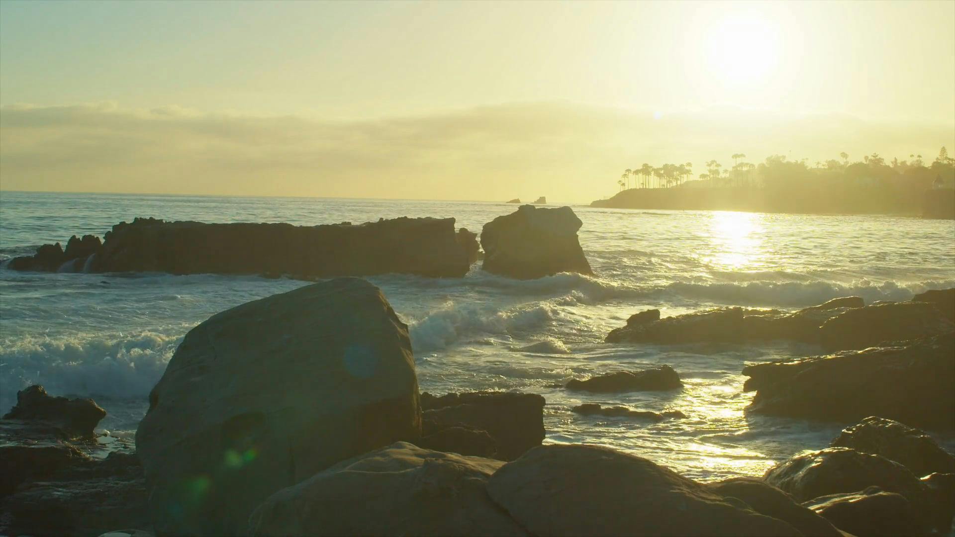 Summer Vibes Background Videos, Download The BEST Free 4k Stock Video ...