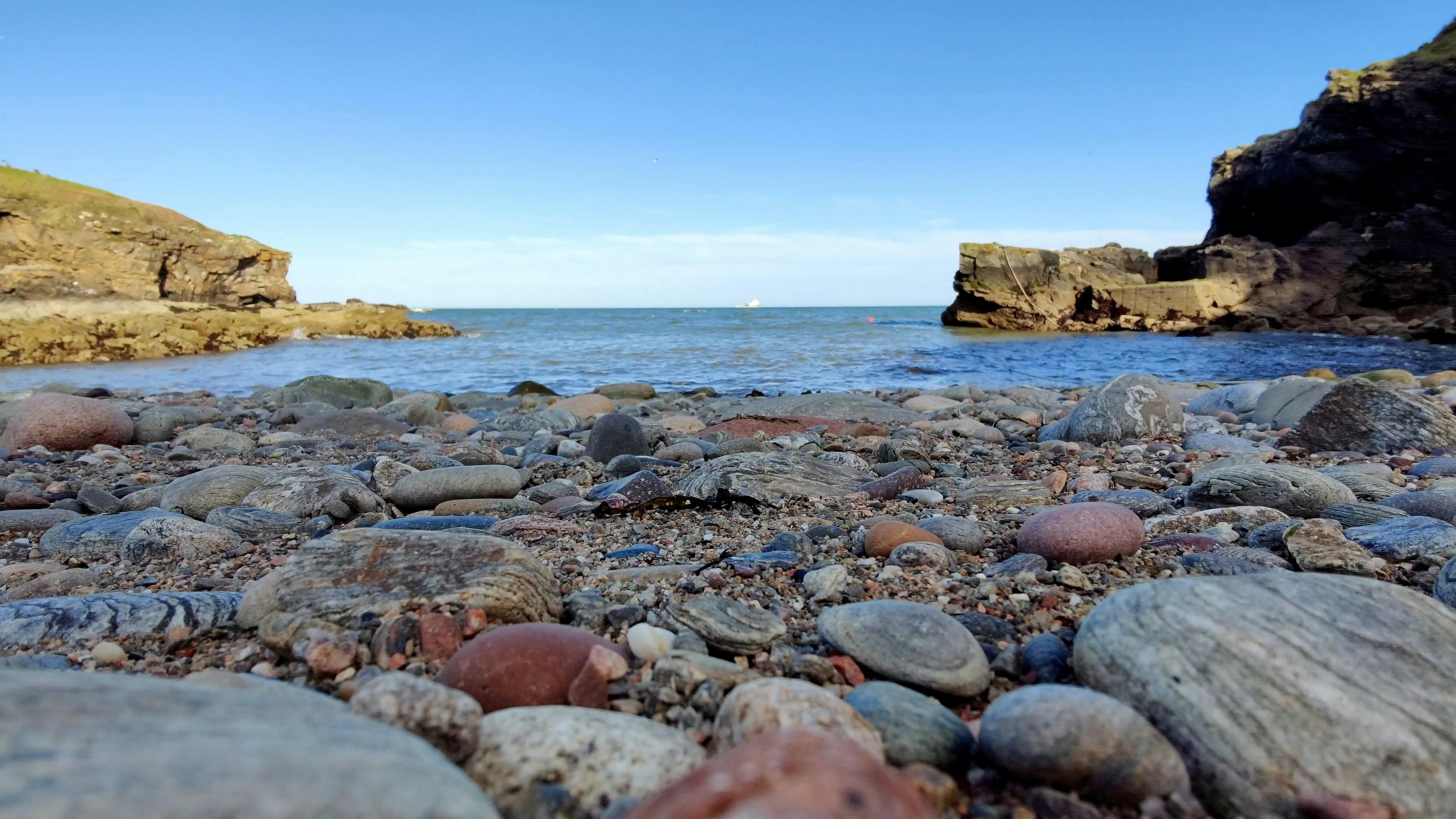 Earth Shells Videos, Download The BEST Free 4k Stock Video Footage ...