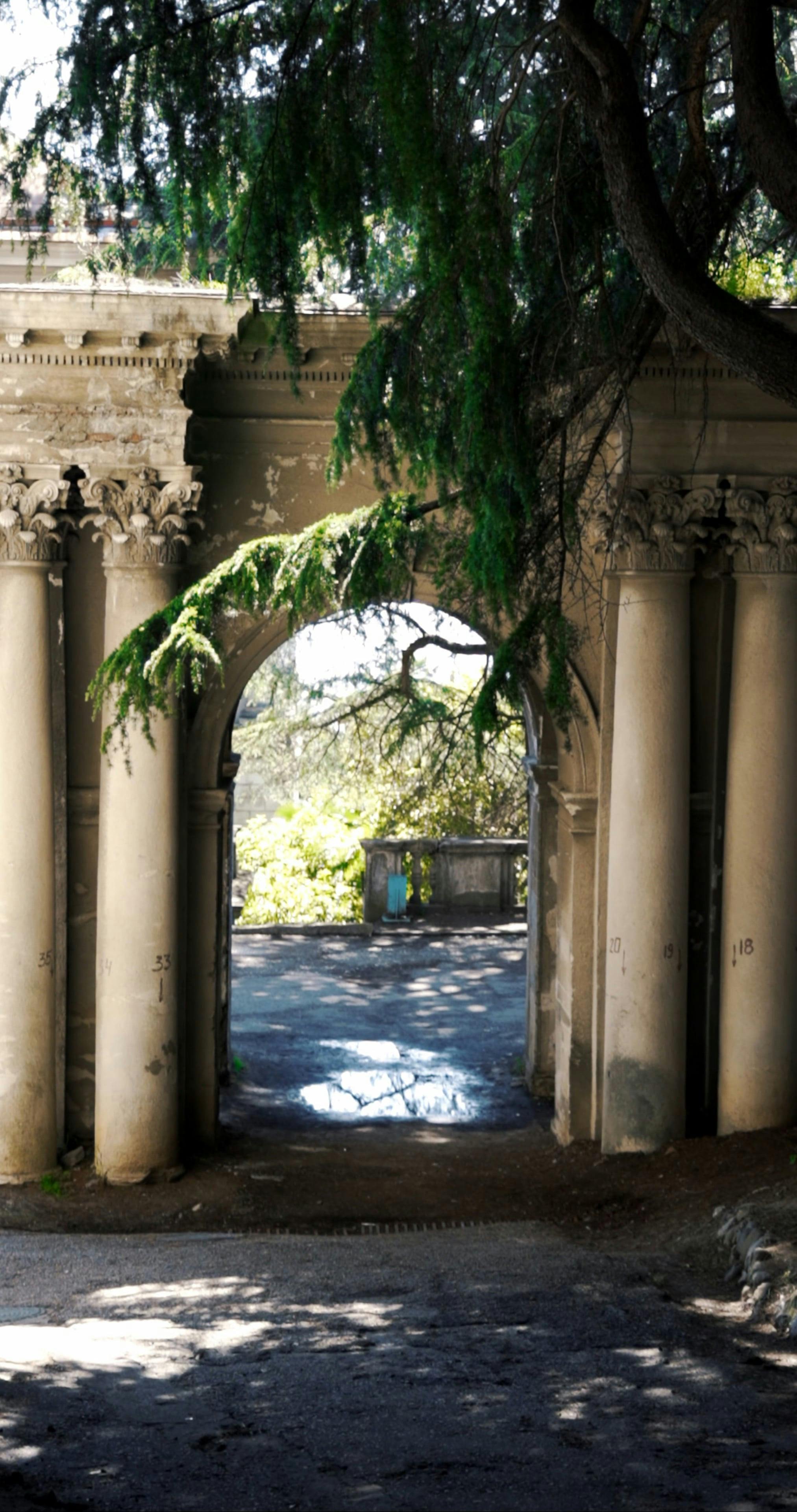 Run Tree Videos, Download Free 4k Stock Video Footage & Run Tree HD ...