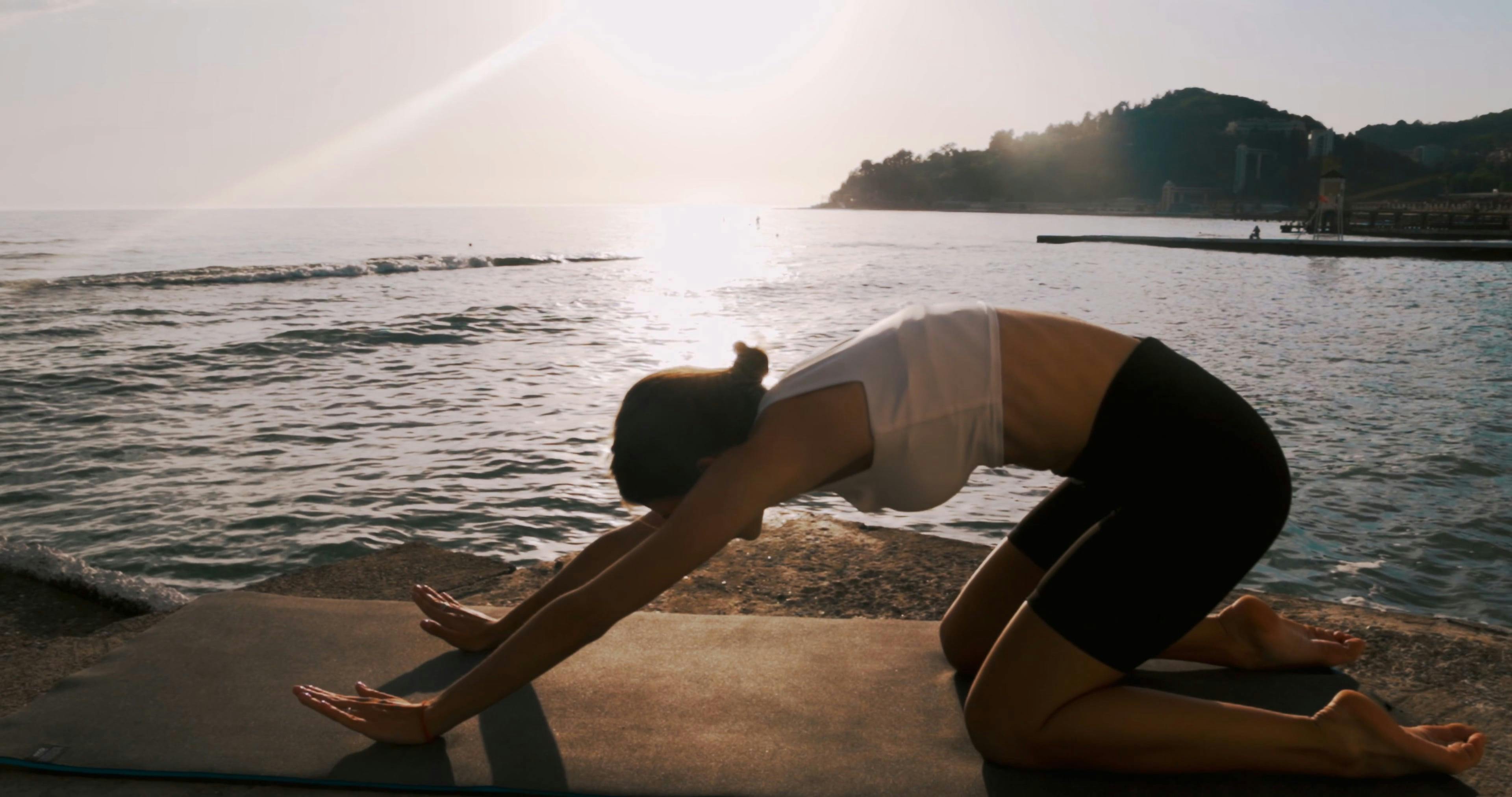 Cat Cow Stretch Videos, Download The BEST Free 4k Stock Video Footage ...