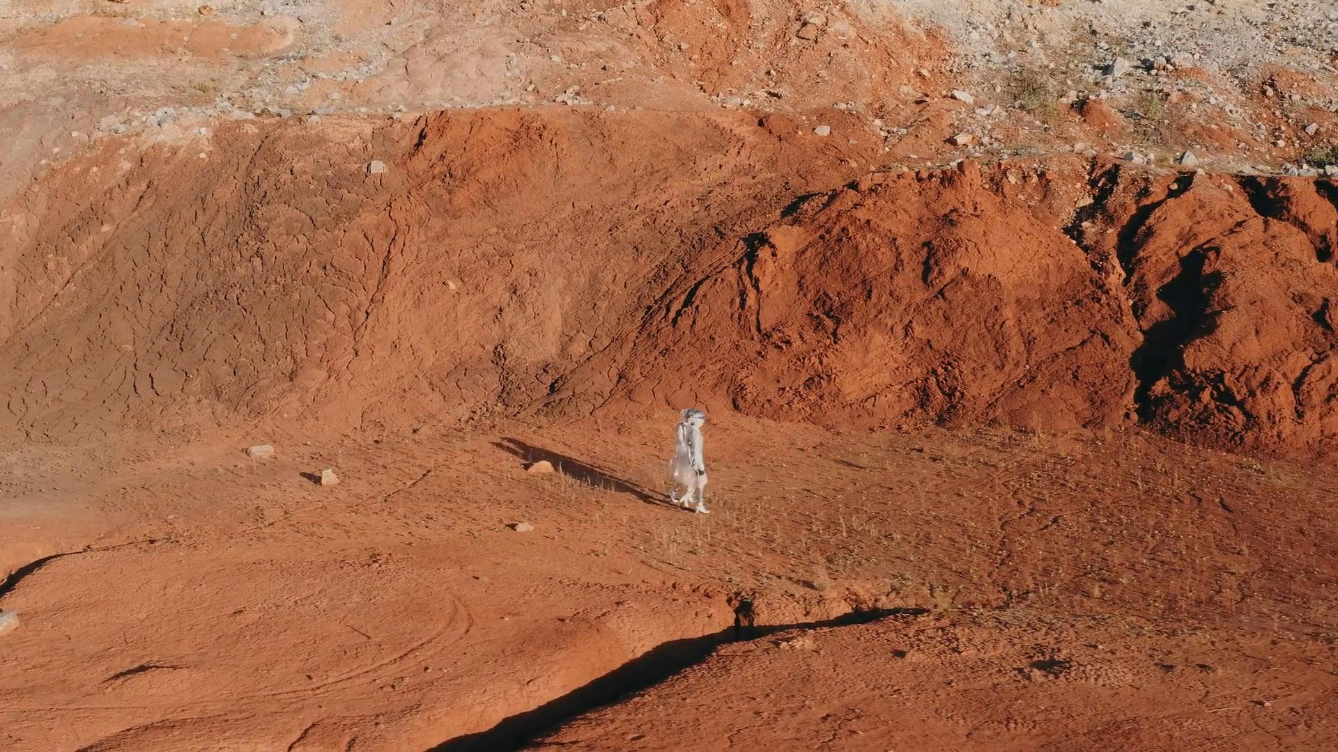 Mars Grass Videos, Download The BEST Free 4k Stock Video Footage & Mars Grass HD Video Clips