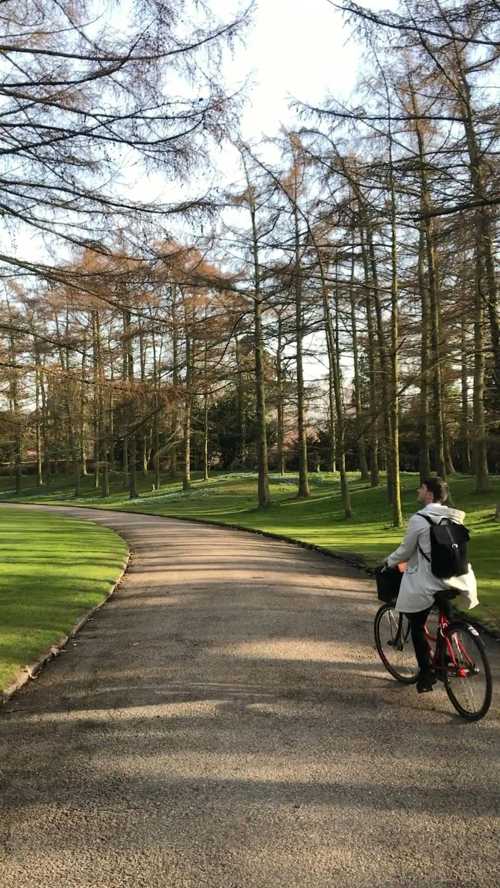 Sports Bike Videos, Download The BEST Free 4k Stock Video Footage ...