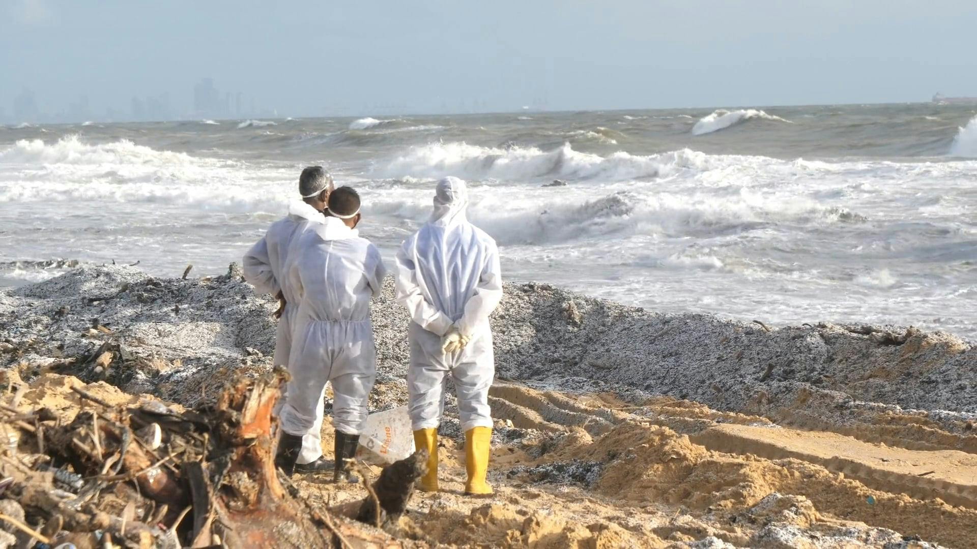 Beach Disaster Videos, Download The BEST Free 4k Stock Video Footage ...