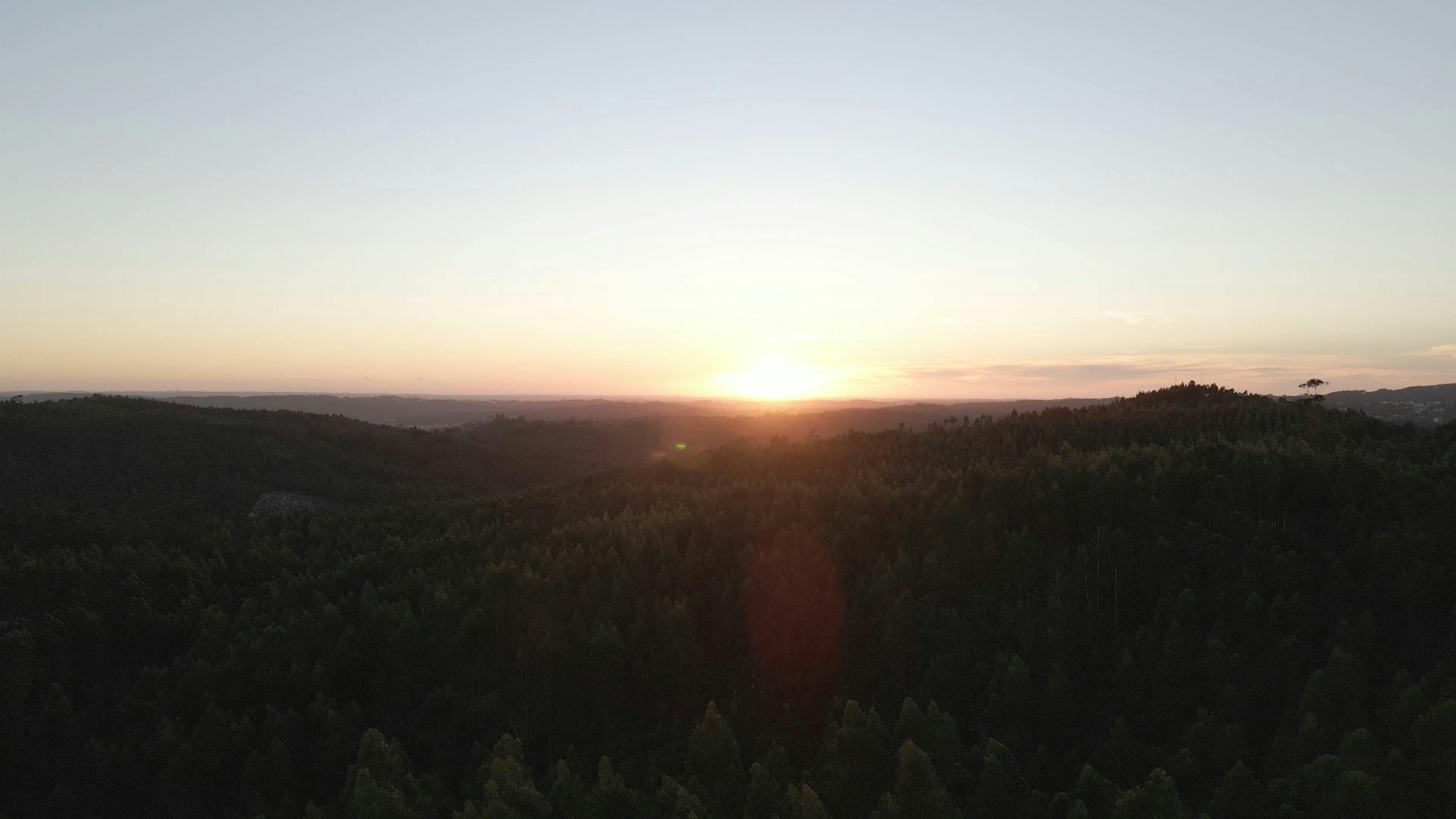 Aerial Footage of a Dense Environment · Free Stock Video