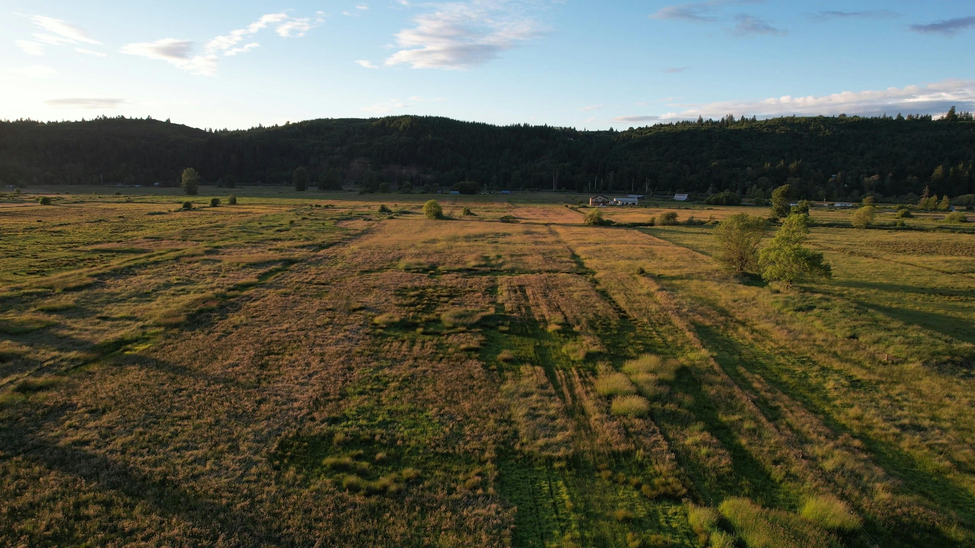 Yee Videos, Download The BEST Free 4k Stock Video Footage & Yee HD ...