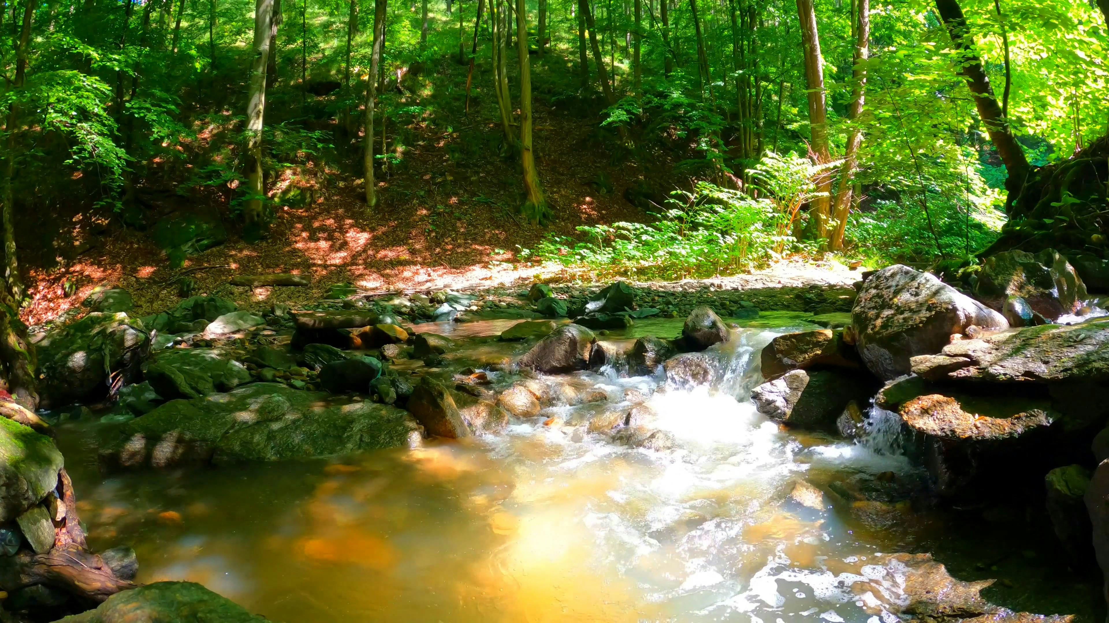 A Flowing Stream · Free Stock Video