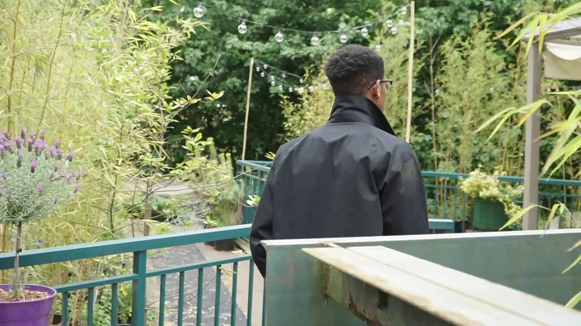 Twig Deal Videos, Download The BEST Free 4k Stock Video Footage & Twig ...