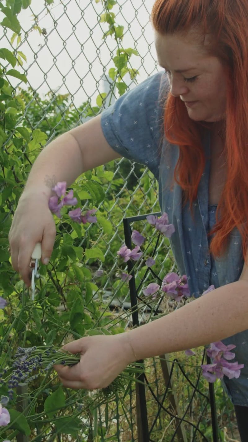 Chubby Woman Videos, Download The BEST Free 4k Stock Video Footage & Chubby Woman HD Video Clips