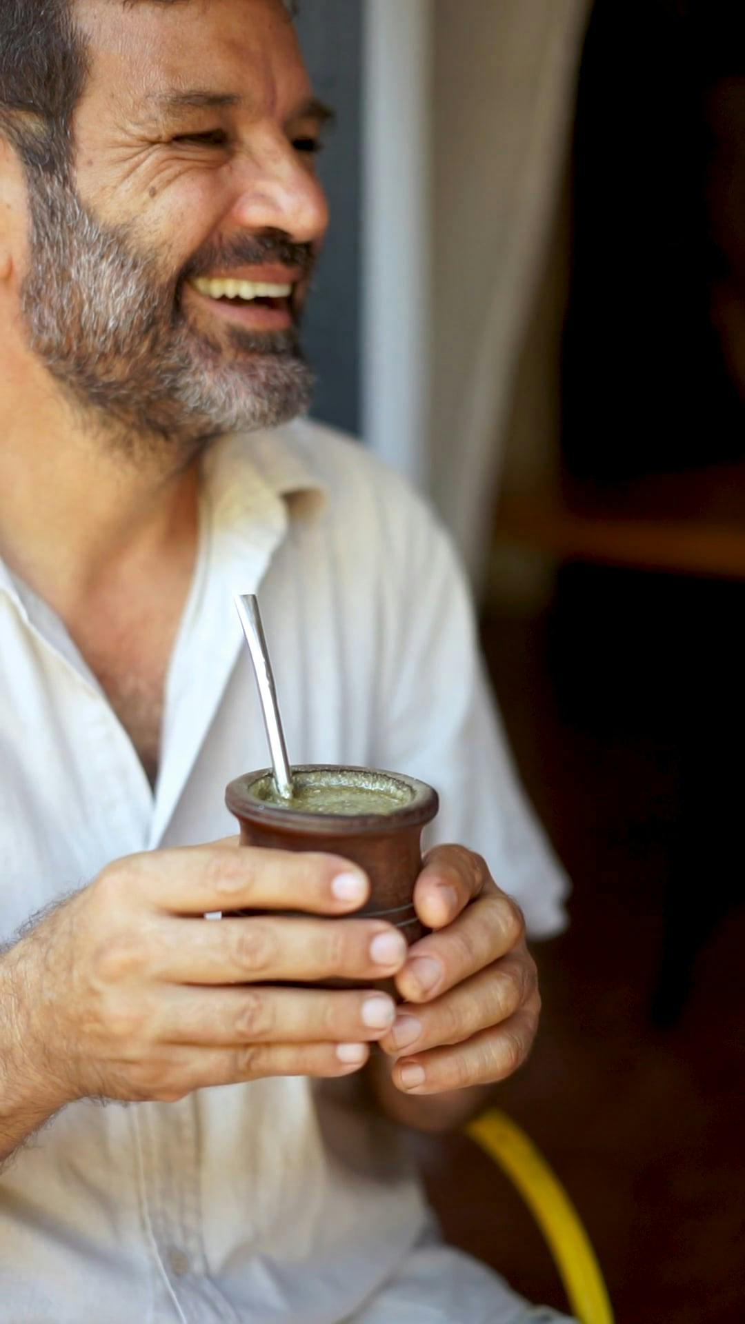 400+ melhores vídeos de Dogo Argentino · Download 100% grátis · Vídeos ...