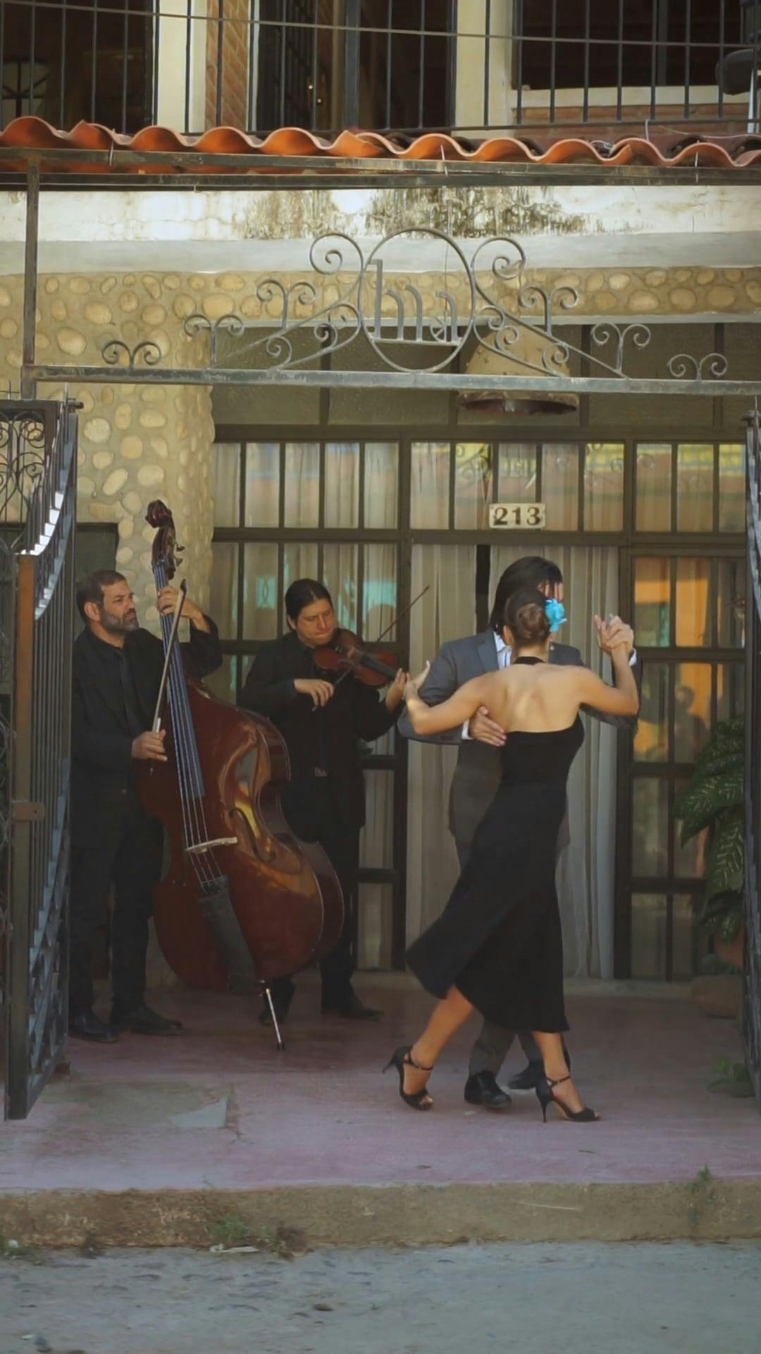 Tango Dance Videos, Download The BEST Free 4k Stock Video Footage ...