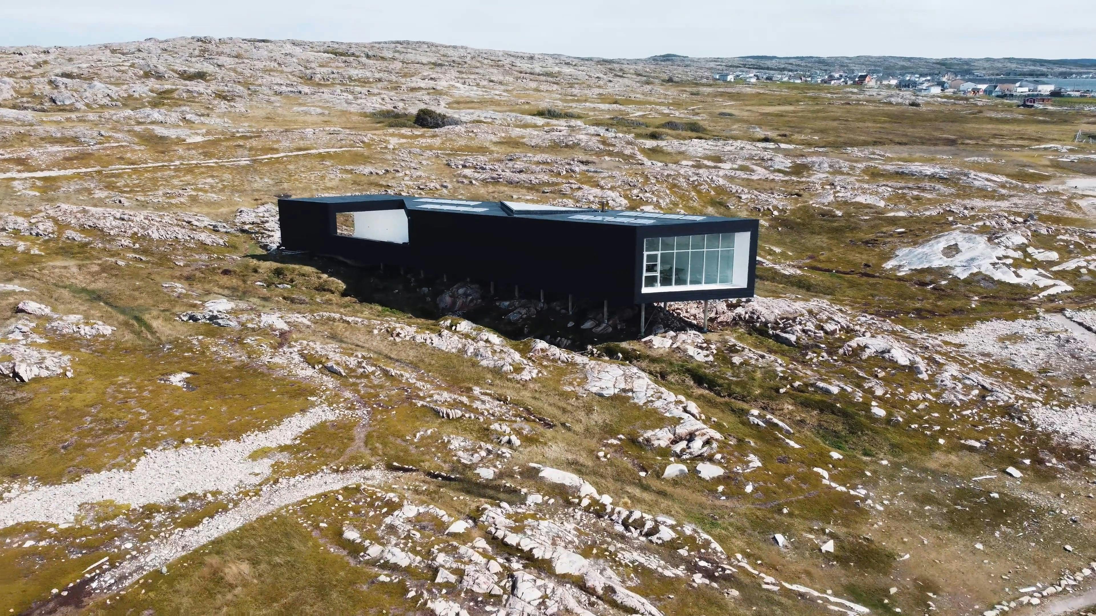 Newfoundland Dan Labrador Videos, Download The BEST Free 4k Stock Video ...