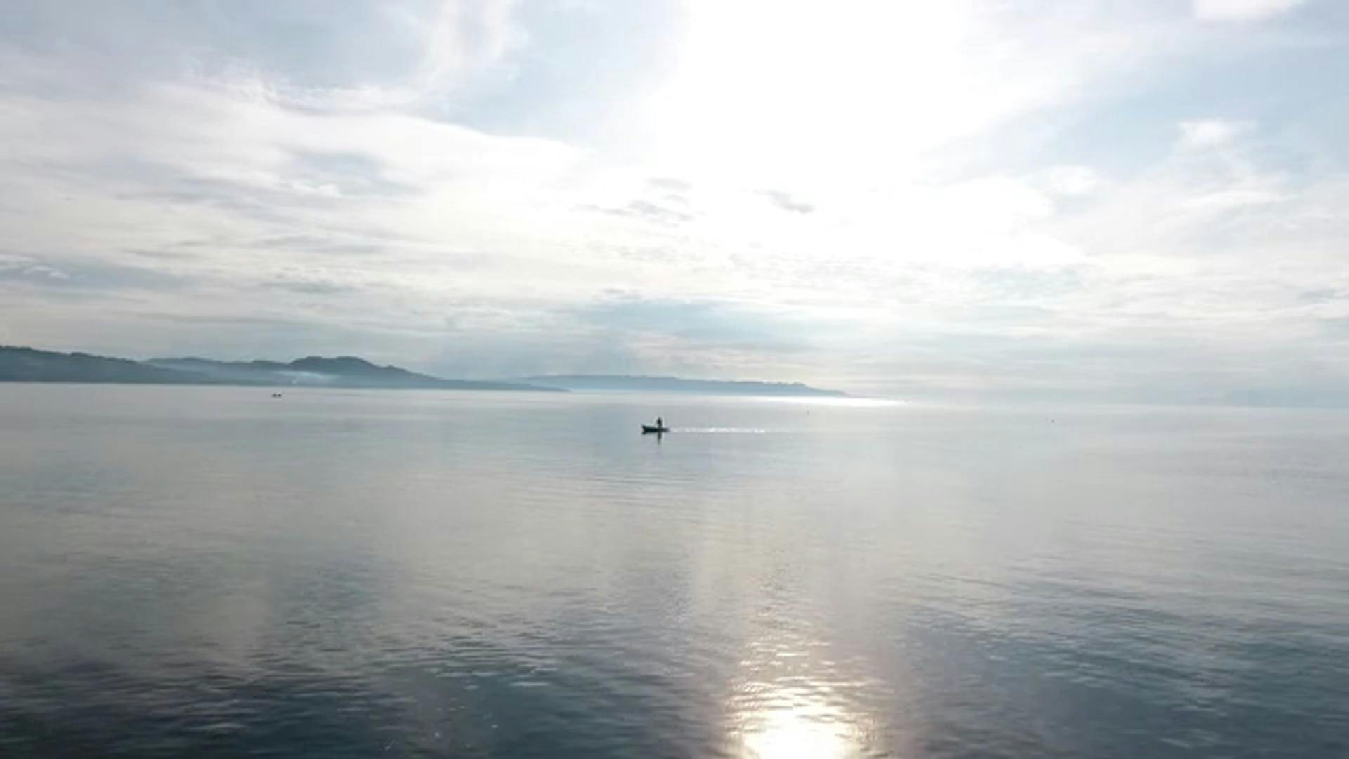 Drone Footage of Boats in the Sea Free Stock Video Footage, Royalty ...