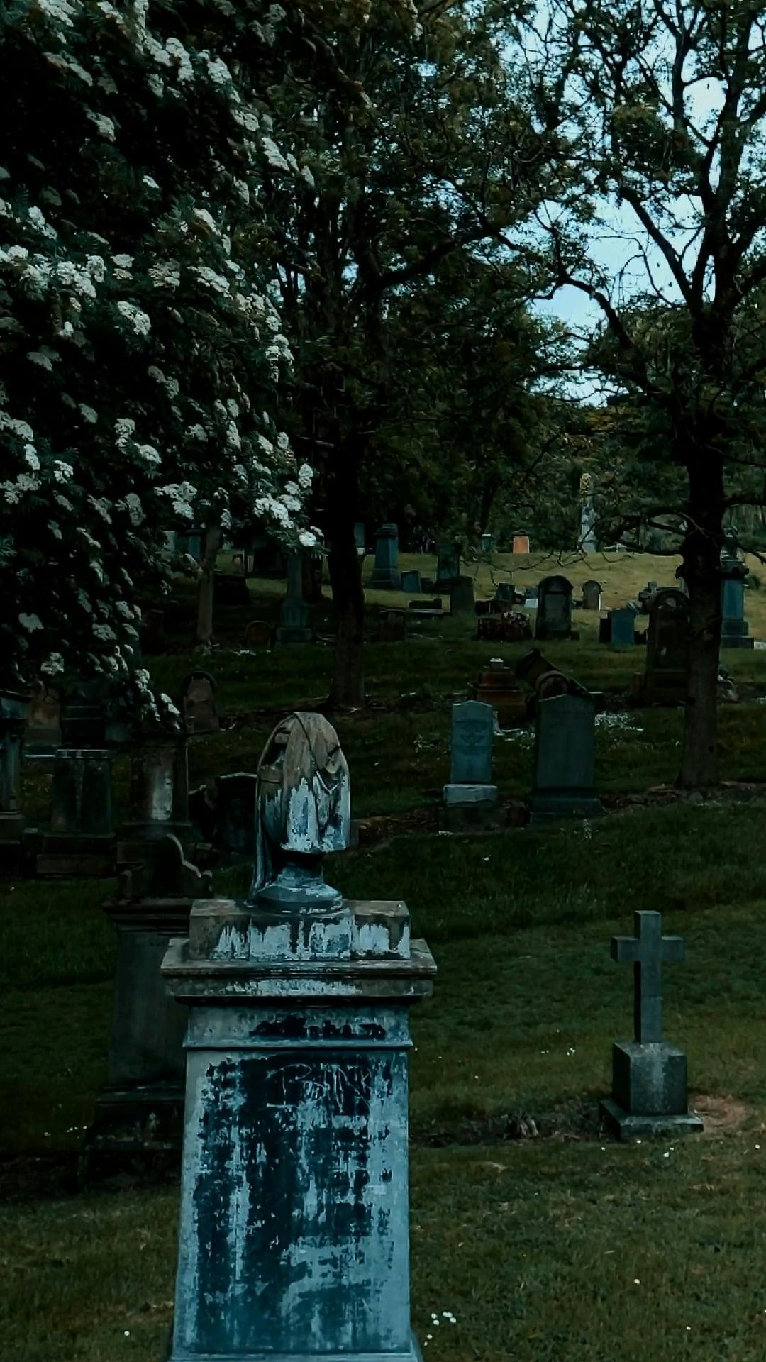 A National Cemetery Park · Free Stock Video