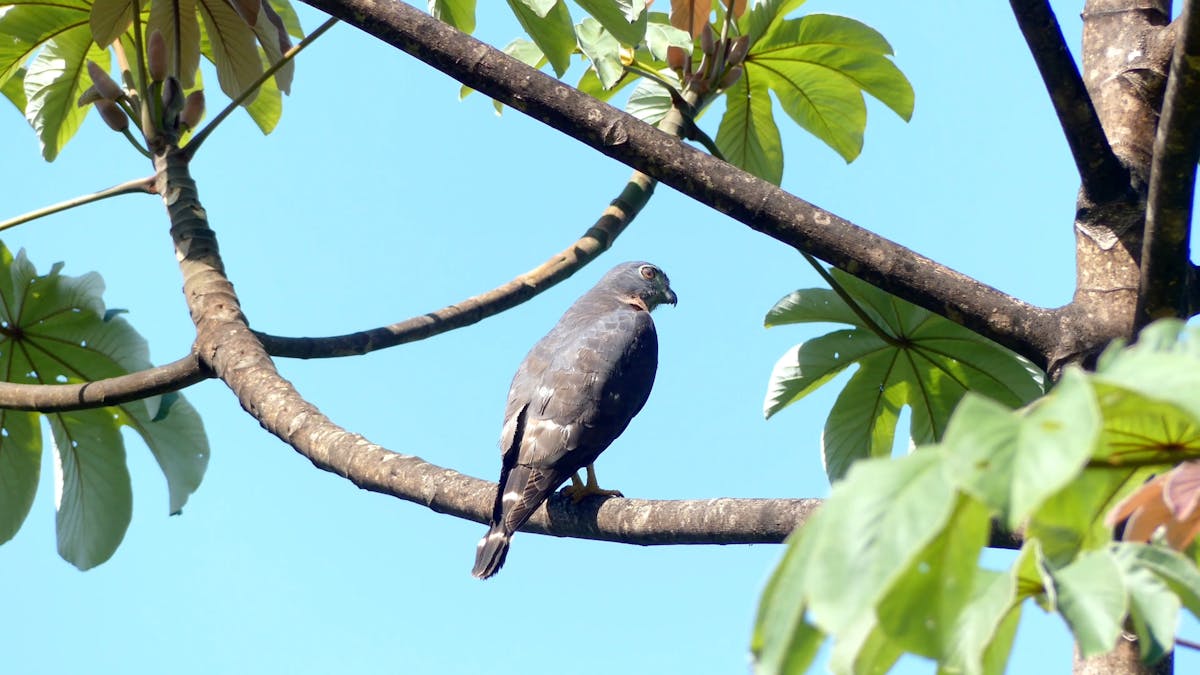 Costa Rica Videos, Download The BEST Free 4k Stock Video Footage ...