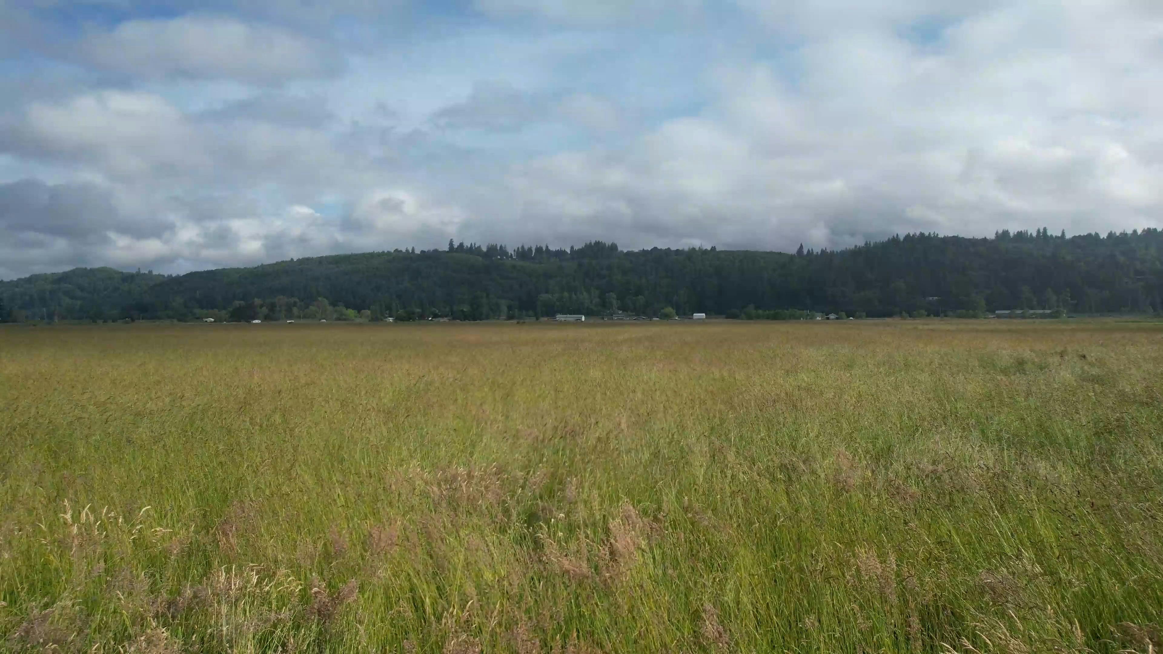 Drone Footage of a Agricultural Land · Free Stock Video