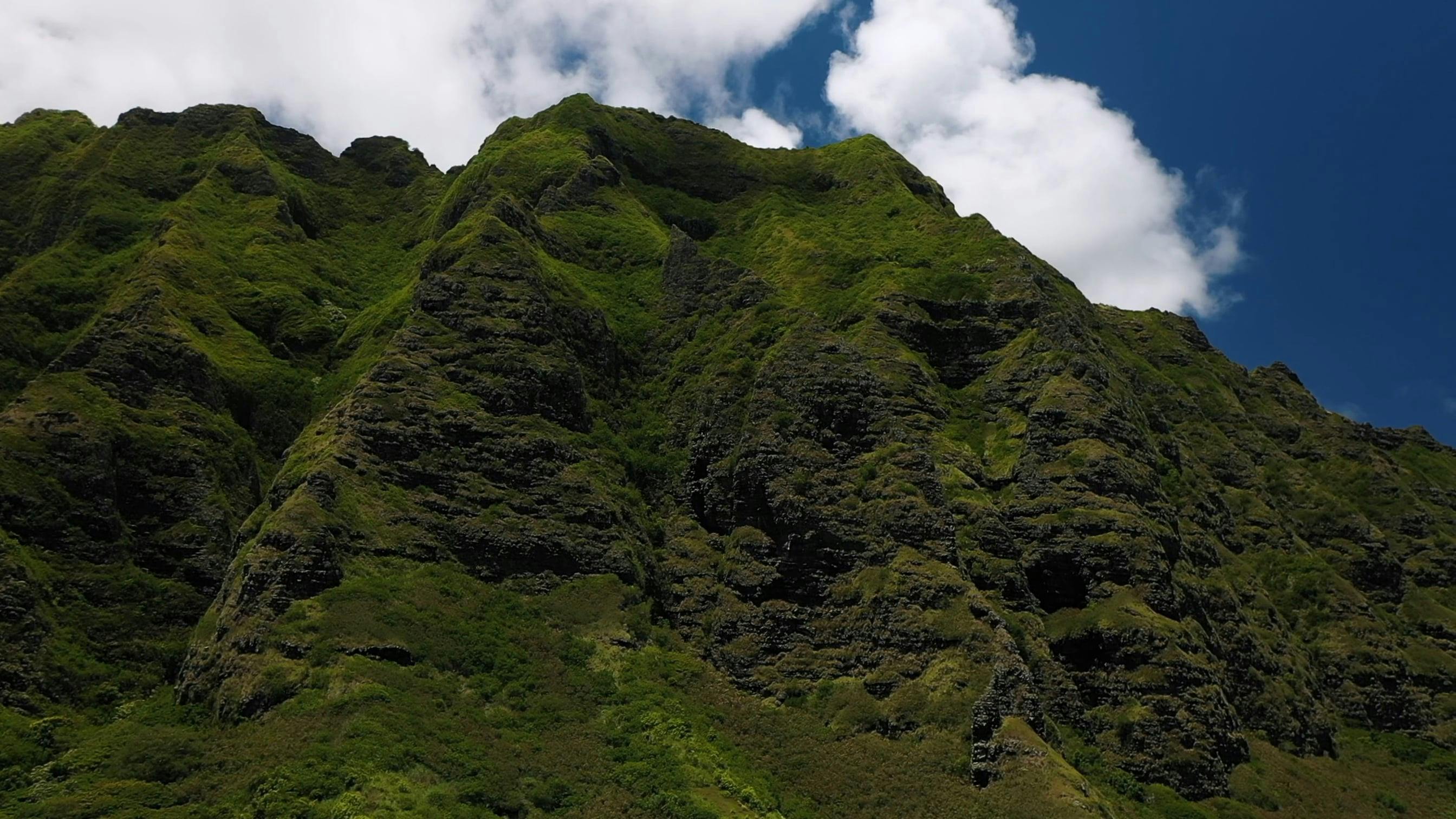 Drone Footage of a Lush Mountainside Free Stock Video Footage, Royalty ...