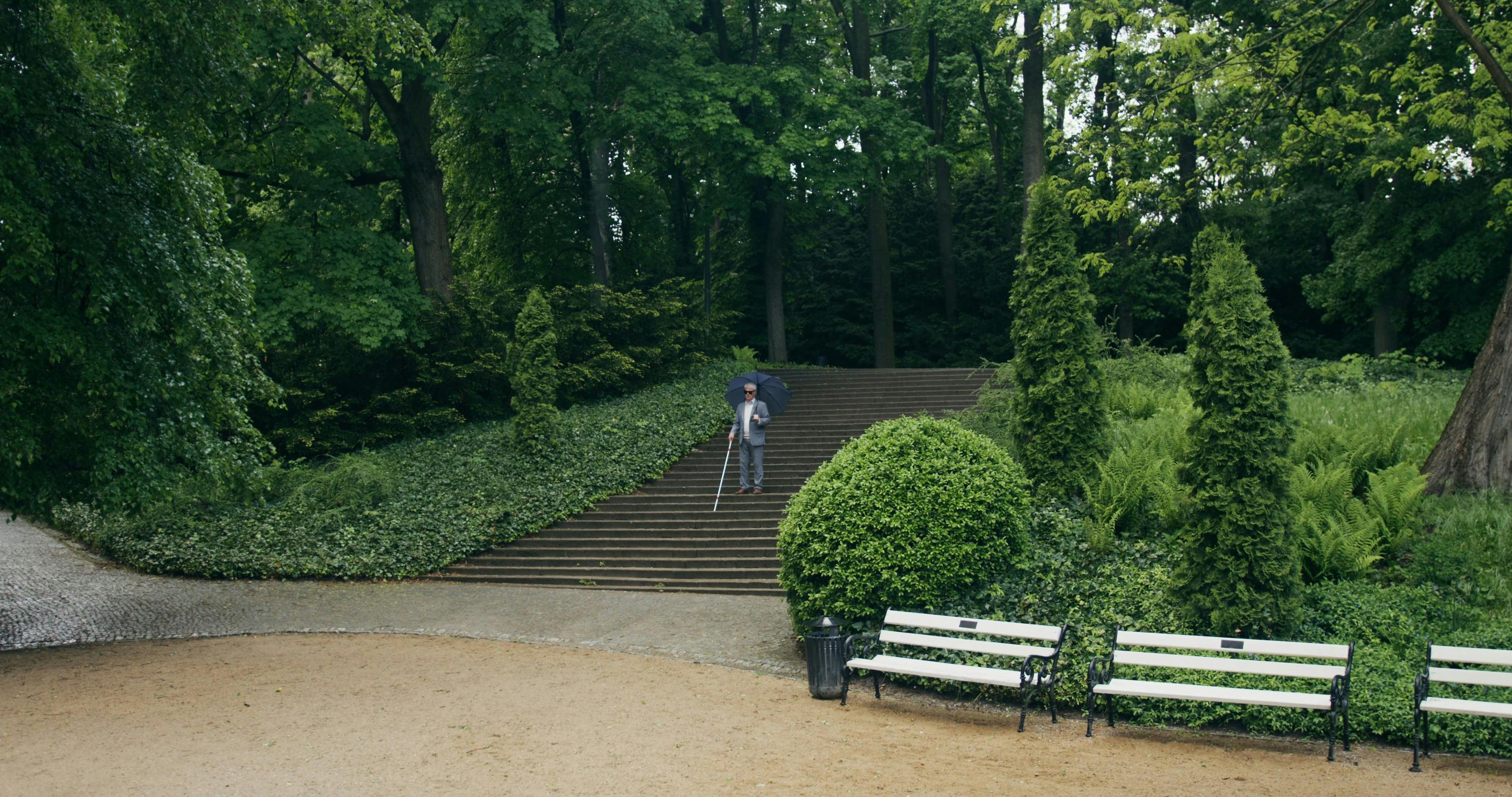 Walking Down A Path Videos, Download The BEST Free 4k Stock Video ...