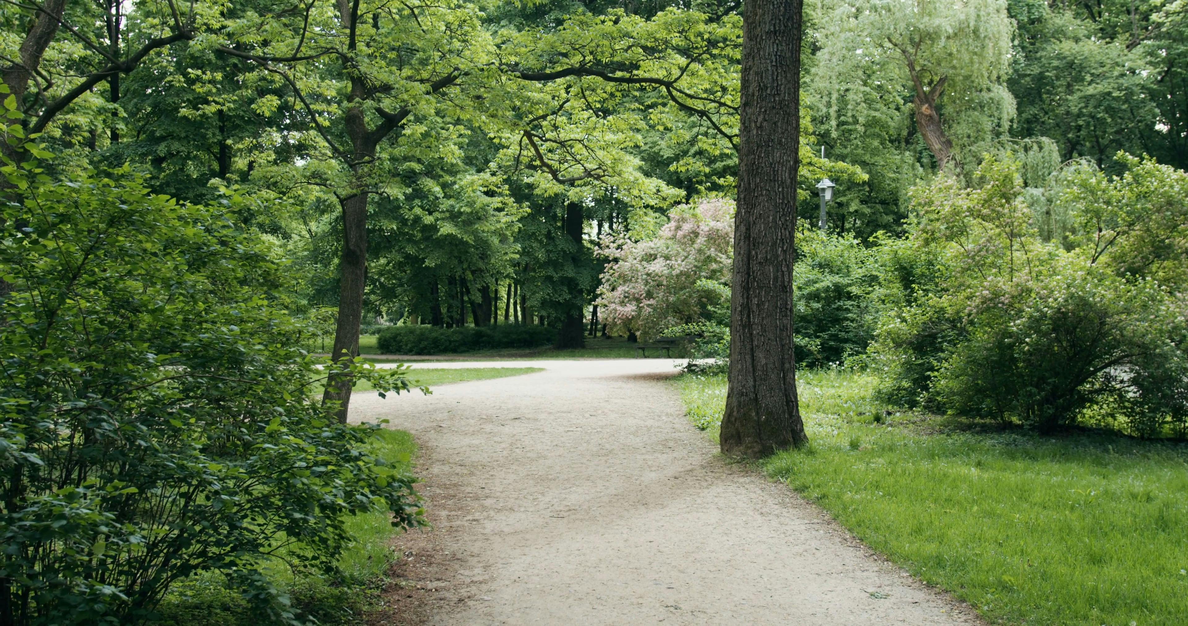 An Empty Park Free Stock Video Footage, Royalty-Free 4K & HD Video Clip