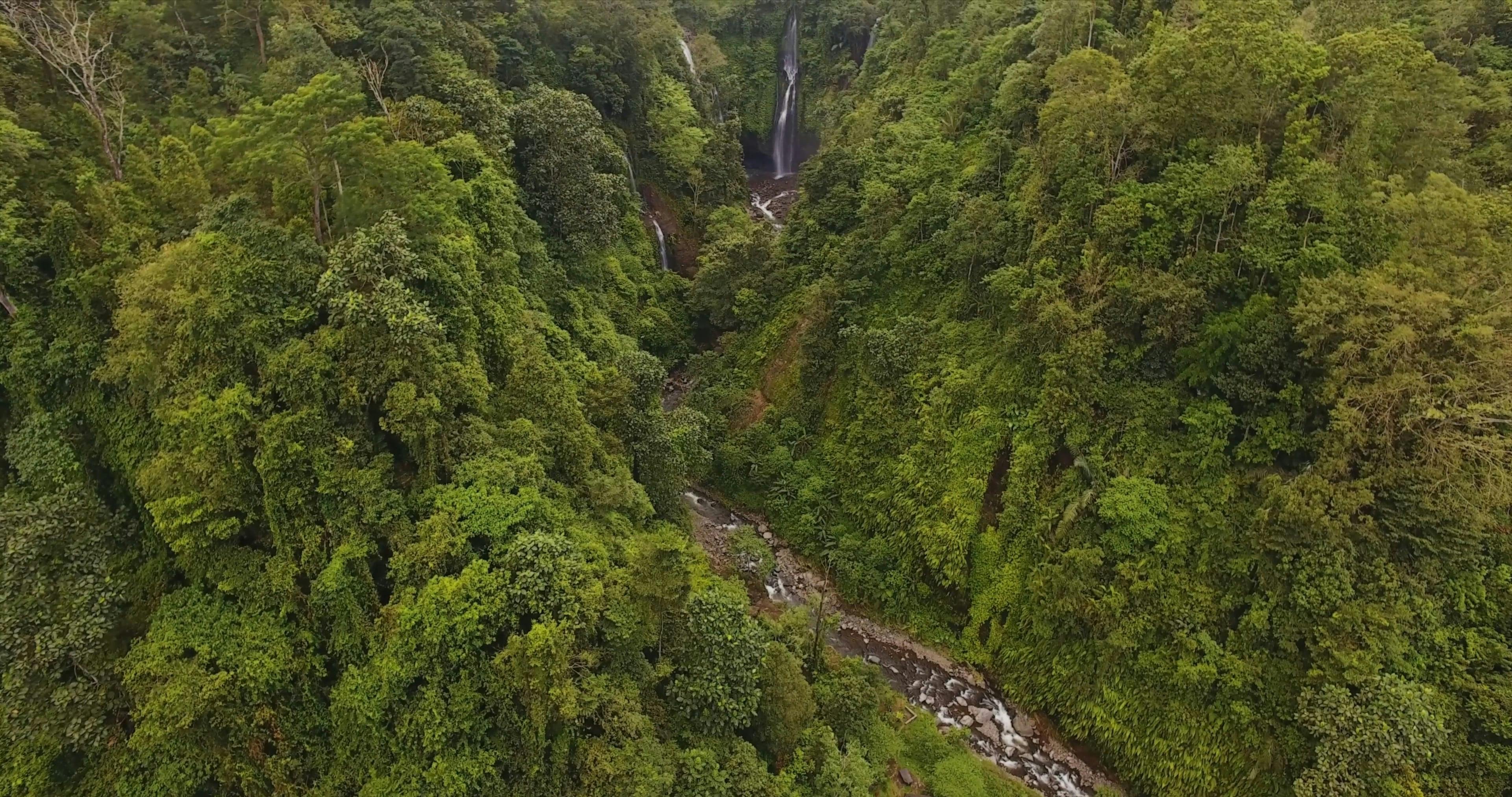 Drone Shot of Waterfalls in a Forest · Free Stock Video
