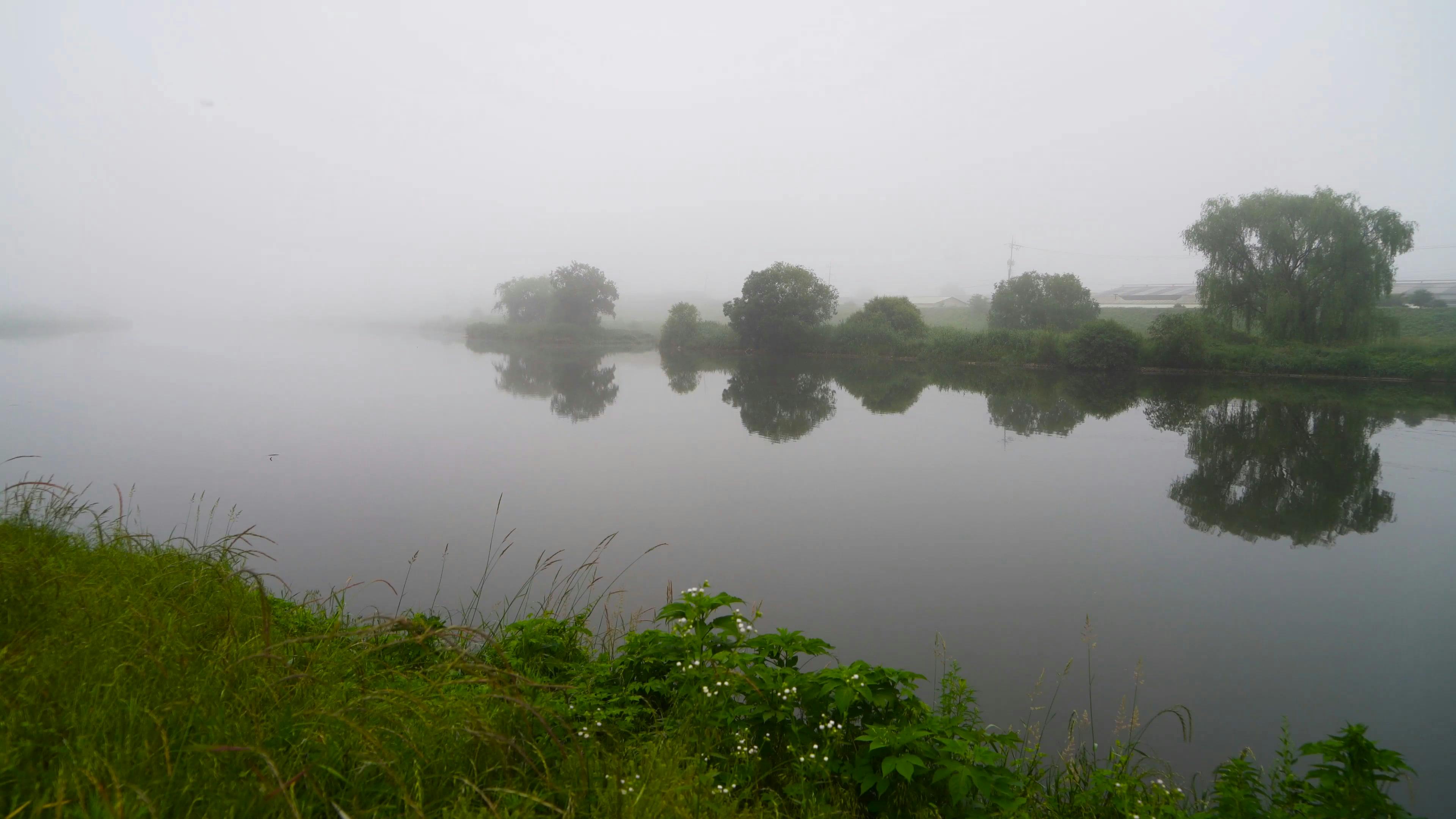 Fog over Water Pond Free Stock Video Footage, Royalty-Free 4K & HD ...